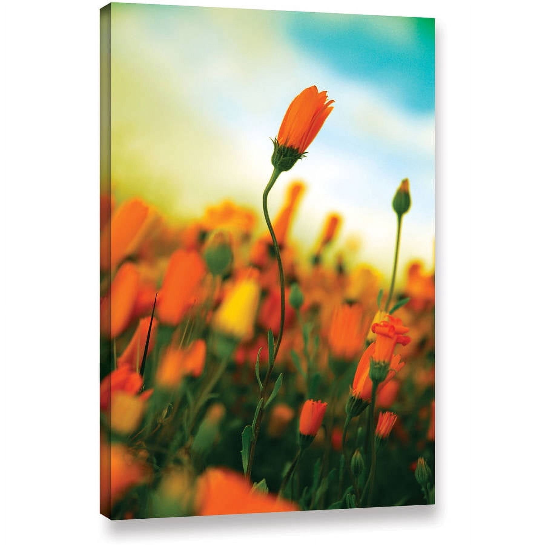 ArtWall Elena Ray "African Daisy" Gallery-wrapped Canvas - Walmart ...