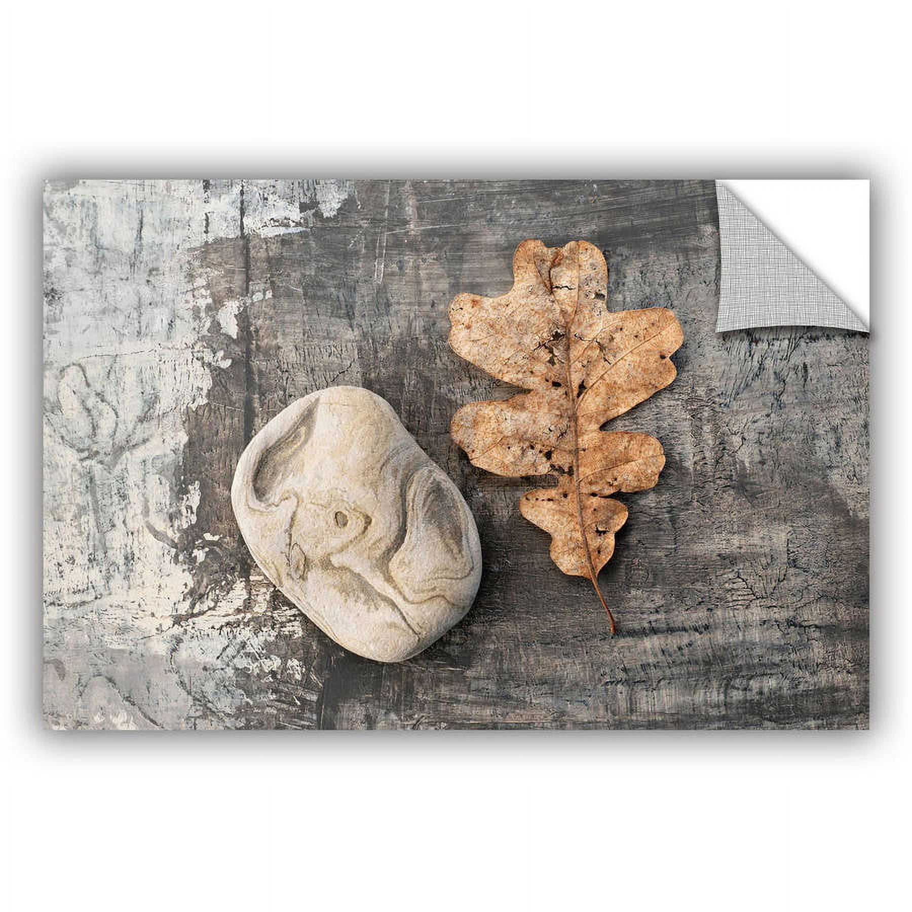ArtWall Elena Ray "Still Life Leaf Stone" Art Appeals Removable Wall ...