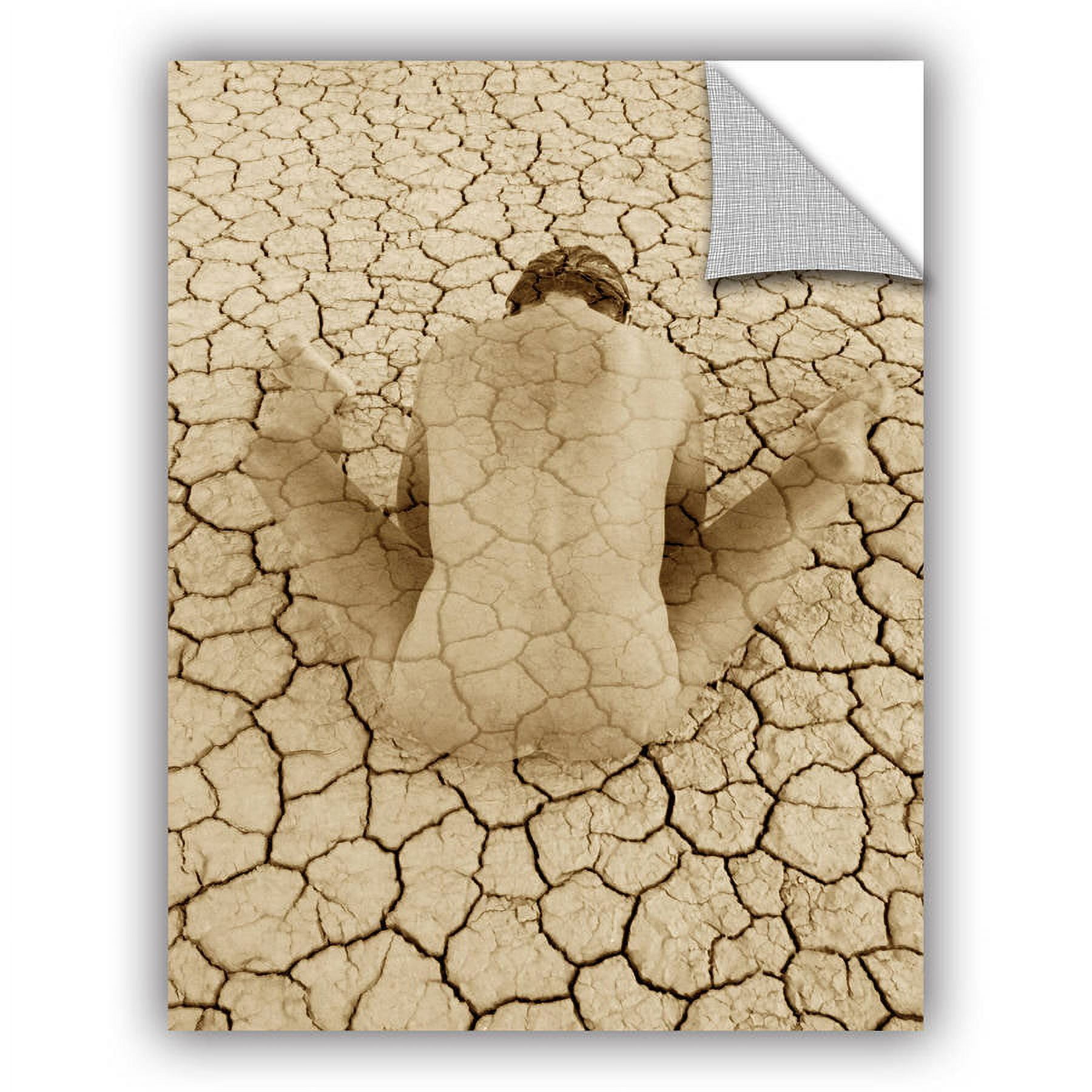 ArtWall Elena Ray "The Clay Pot" Art Appeals Removable Wall Art ...