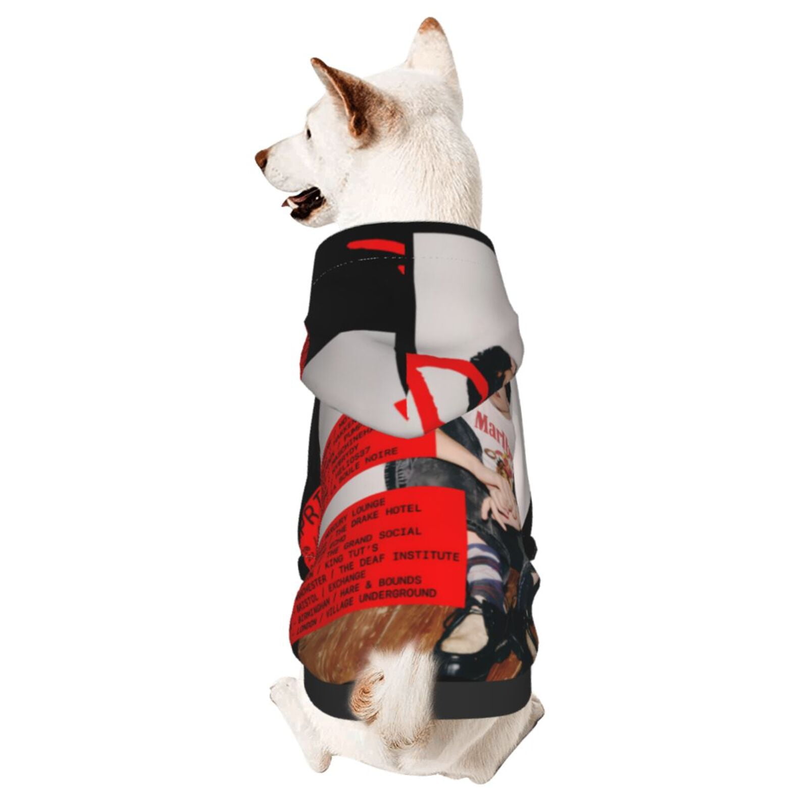 Artemas Small Pets Wear Hoodies Dog Hoodie Sweater Stylish Streetwear ...