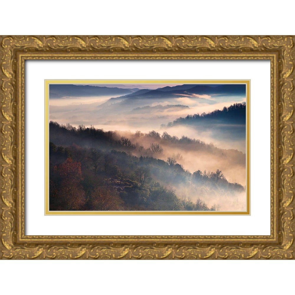 Artemiadi, Dora 14x10 Gold Ornate Wood Framed with Double Matting ...