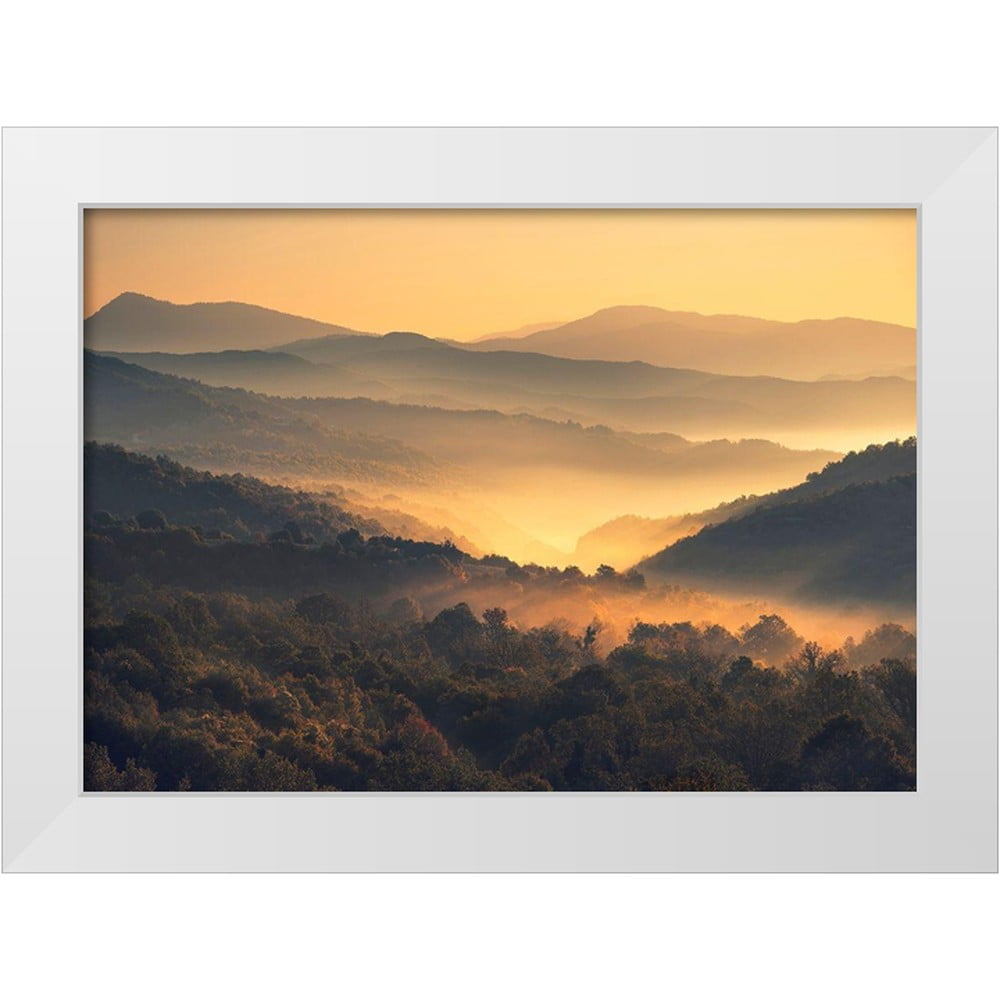 Artemiadi, Dora 14x11 White Modern Wood Framed Museum Art Print Titled ...