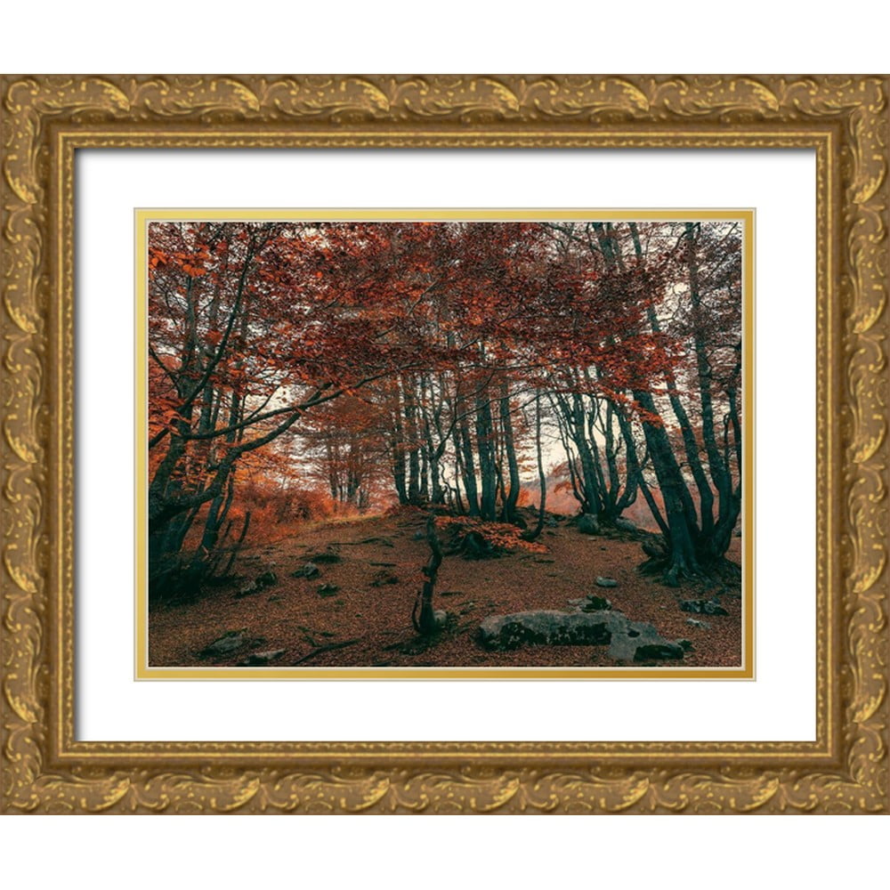 Artemiadi, Dora 14x12 Gold Ornate Wood Framed with Double Matting ...