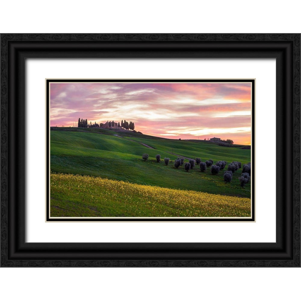 Artemiadi, Dora 18x13 Black Ornate Wood Framed with Double Matting ...