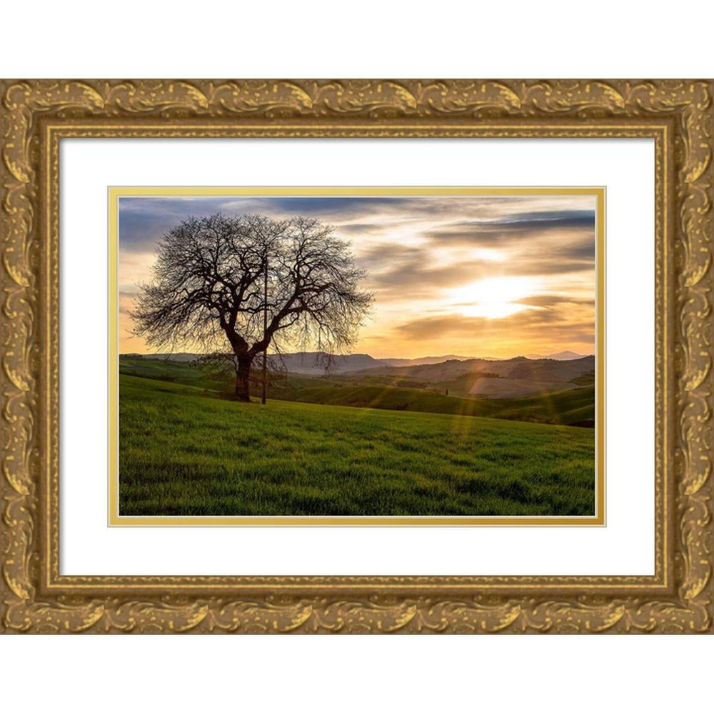 Artemiadi, Dora 18x13 Gold Ornate Wood Framed with Double Matting ...