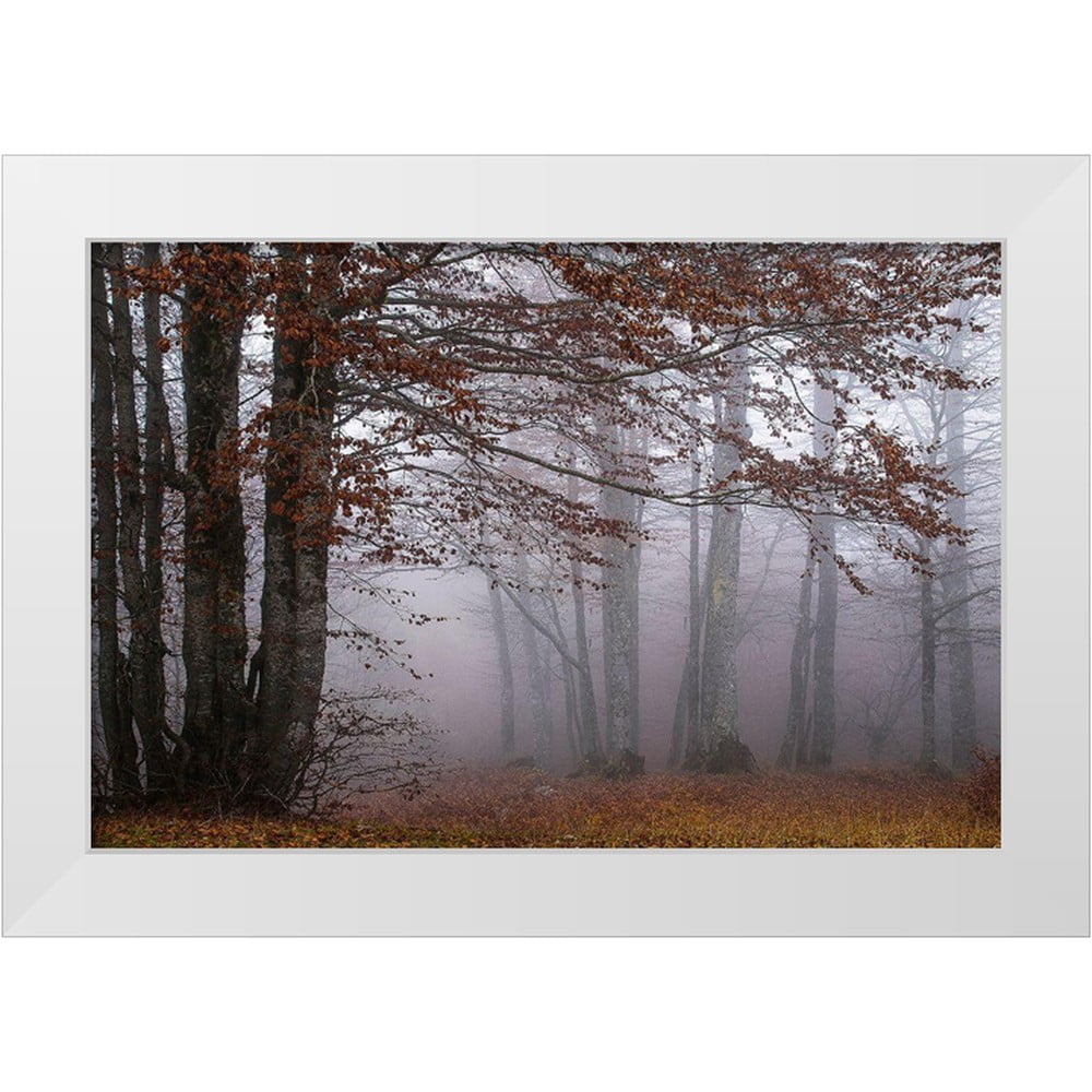 Artemiadi, Dora 18x13 White Modern Wood Framed Museum Art Print Titled ...