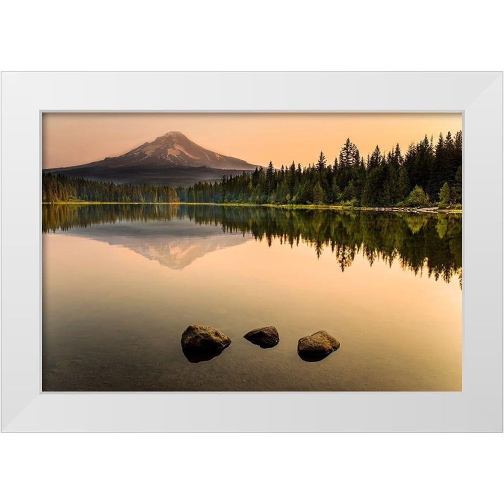 Artemiadi, Dora 18x13 White Modern Wood Framed Museum Art Print Titled ...