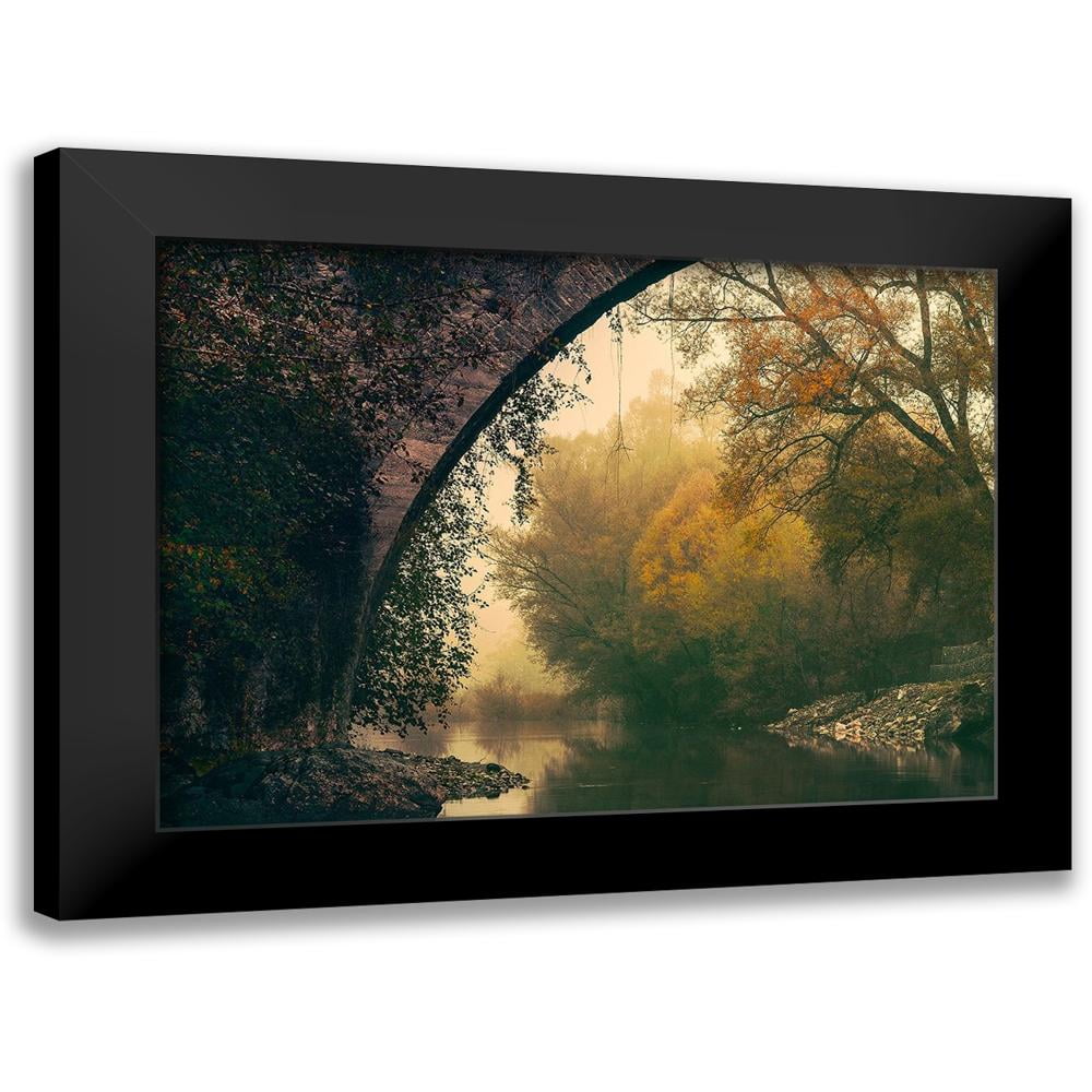 Artemiadi, Dora 18x14 Black Modern Framed Museum Art Print Titled ...