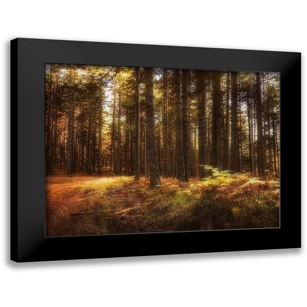 Artemiadi, Dora 18x15 Black Modern Framed Museum Art Print Titled ...