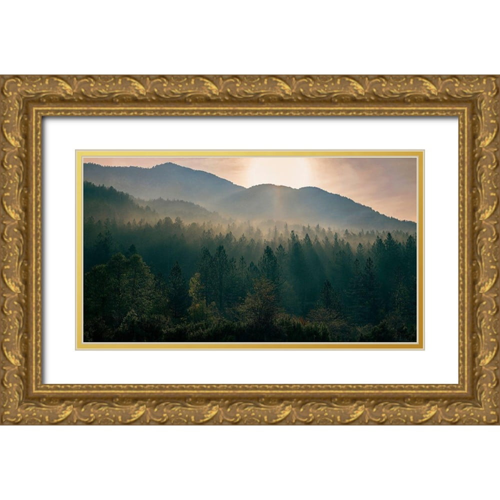 Artemiadi, Dora 24x15 Gold Ornate Wood Framed with Double Matting ...