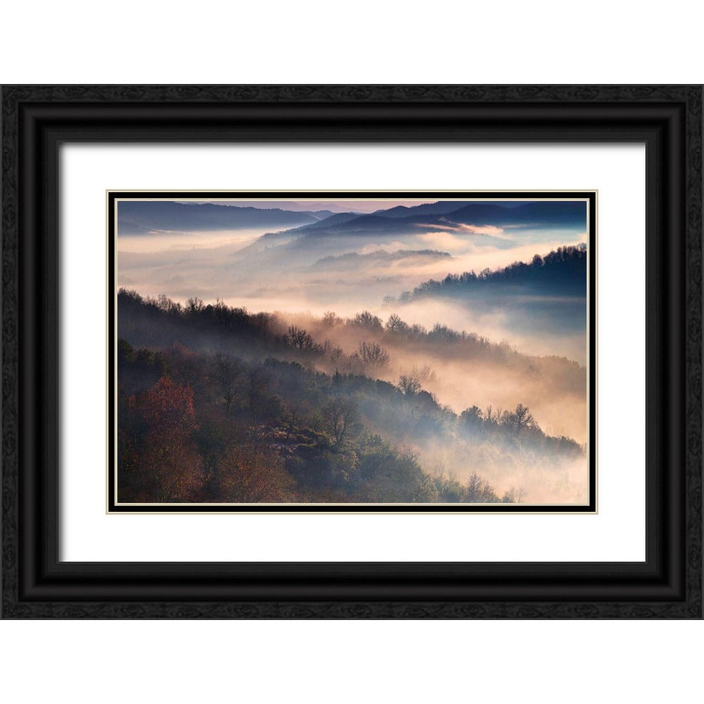 Artemiadi, Dora 24x17 Black Ornate Wood Framed with Double Matting ...