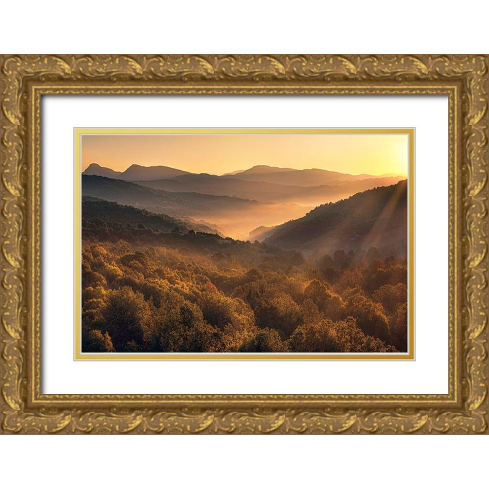 Artemiadi, Dora 24x17 Gold Ornate Wood Framed with Double Matting ...