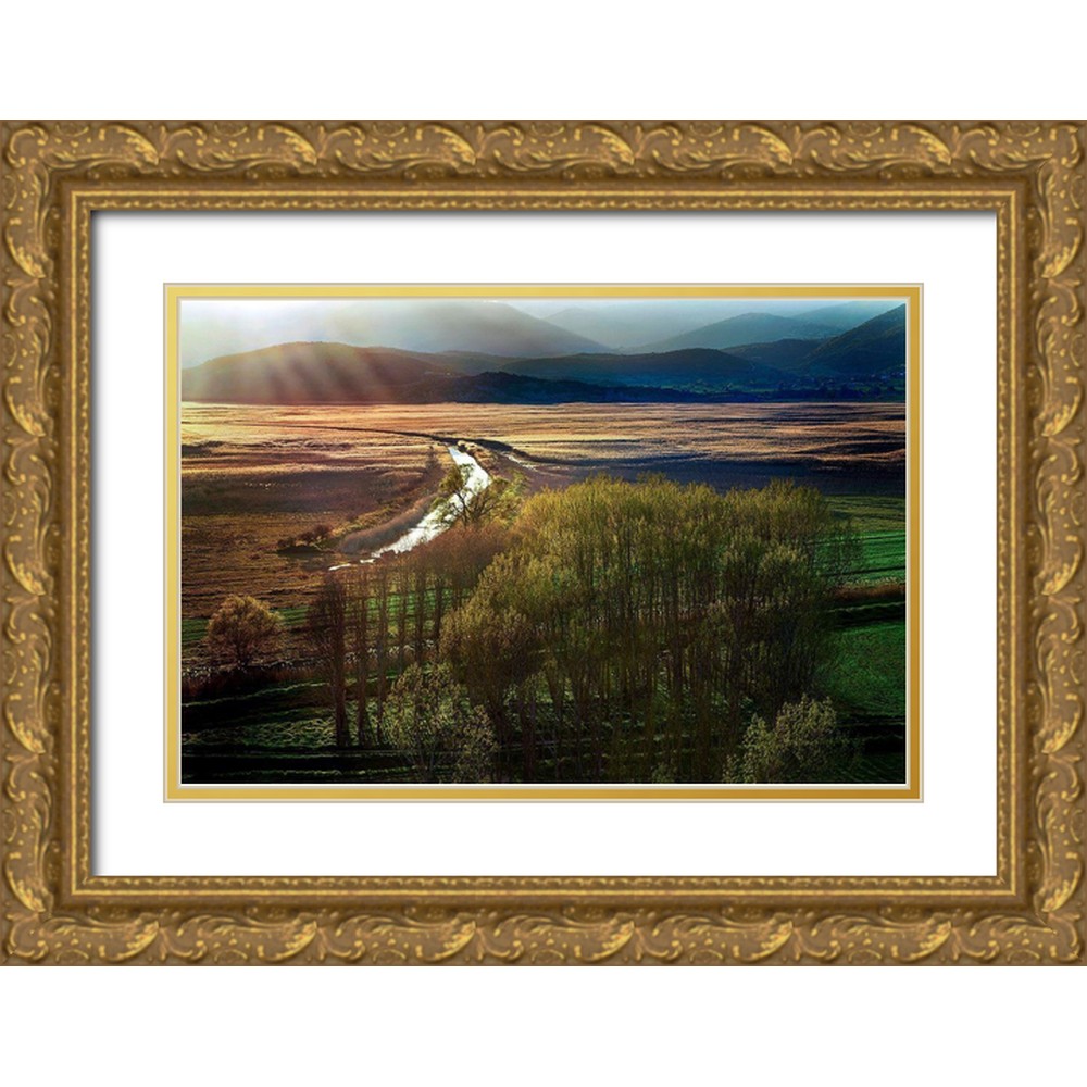 Artemiadi, Dora 24x17 Gold Ornate Wood Framed with Double Matting ...