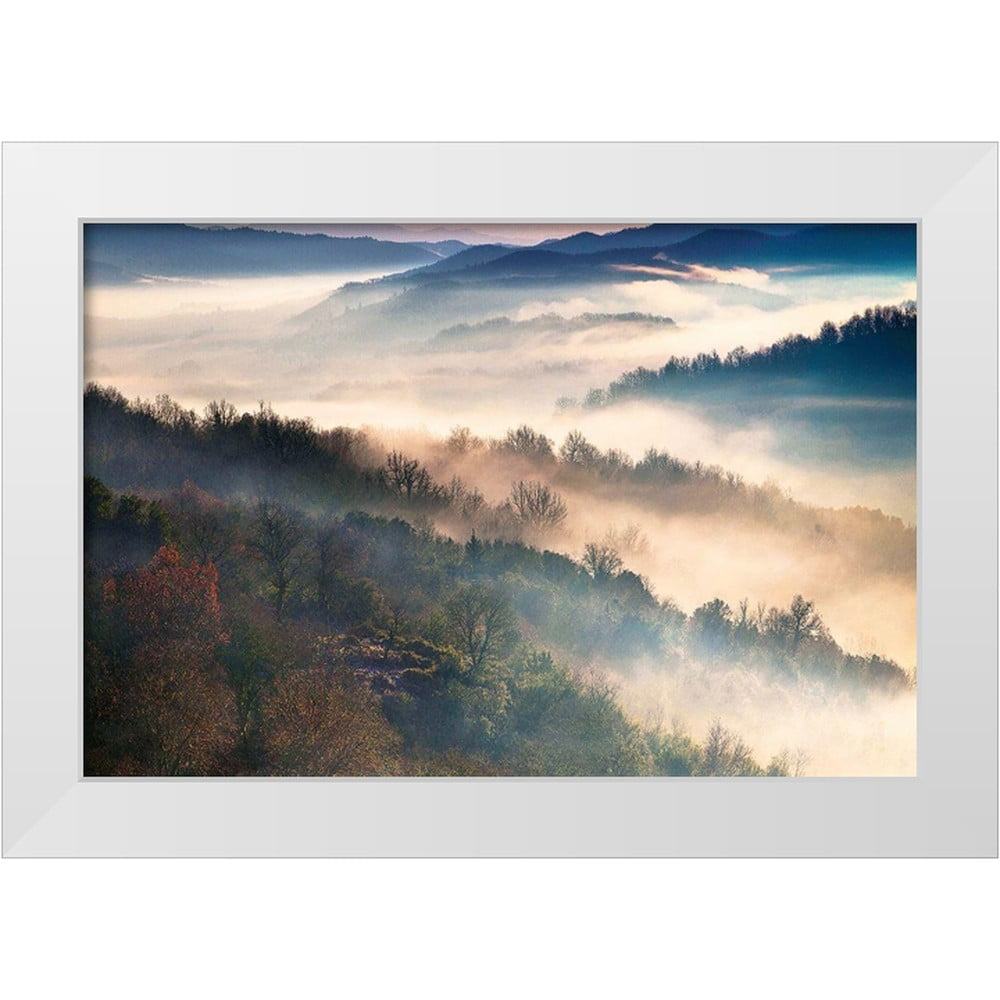 Artemiadi, Dora 24x17 White Modern Wood Framed Museum Art Print Titled ...