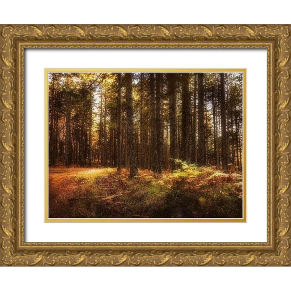 Artemiadi, Dora 24x19 Gold Ornate Wood Framed with Double Matting ...