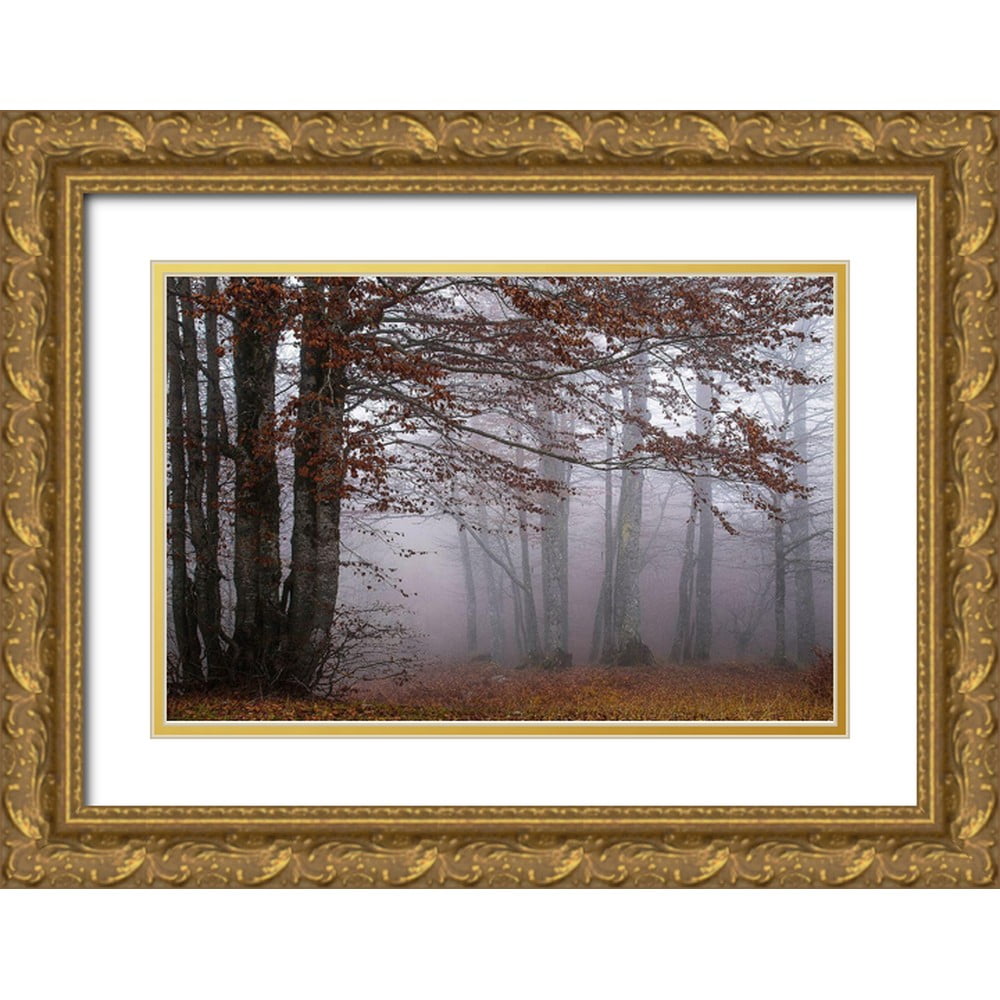 Artemiadi, Dora 32x23 Gold Ornate Wood Framed with Double Matting ...