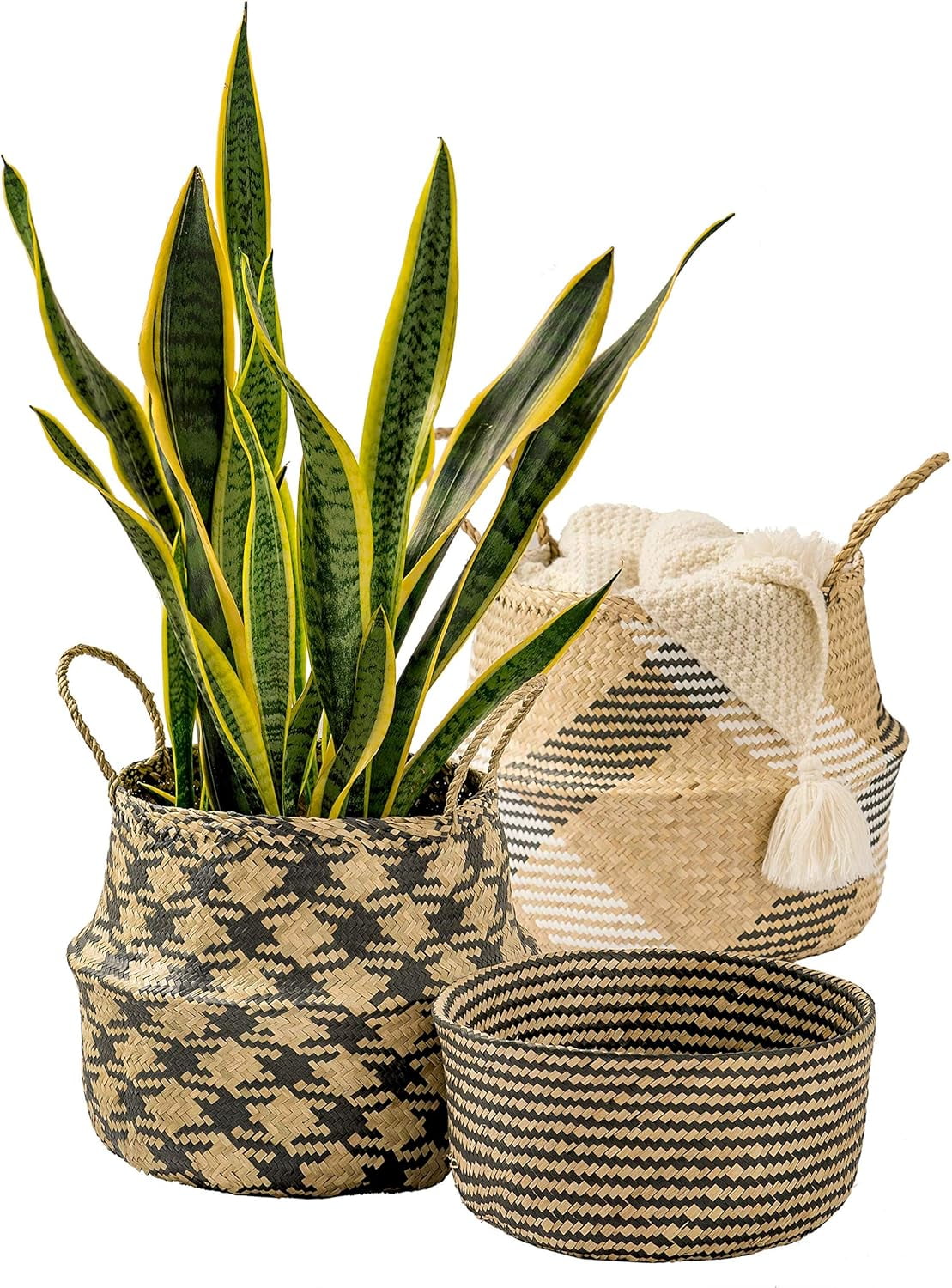Artera Woven Seagrass Basket - Set of 3, Wicker Belly Storage Basket ...