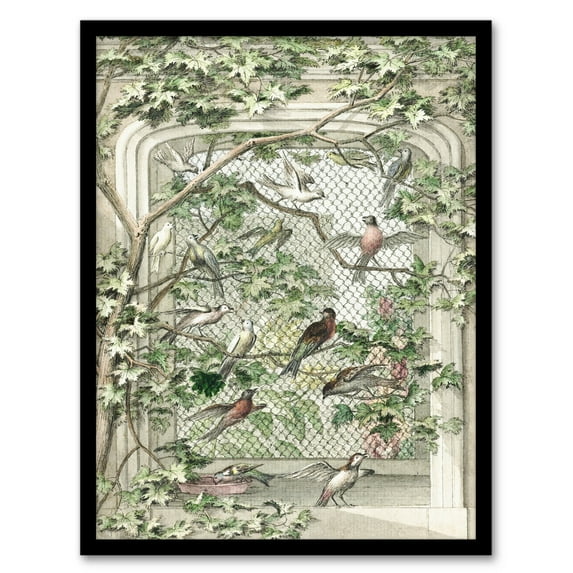 Artery8 Aert Schouman Aviary with Fourteen Birds Framed Wall Art Print Home Décor A4 - Walmart.com