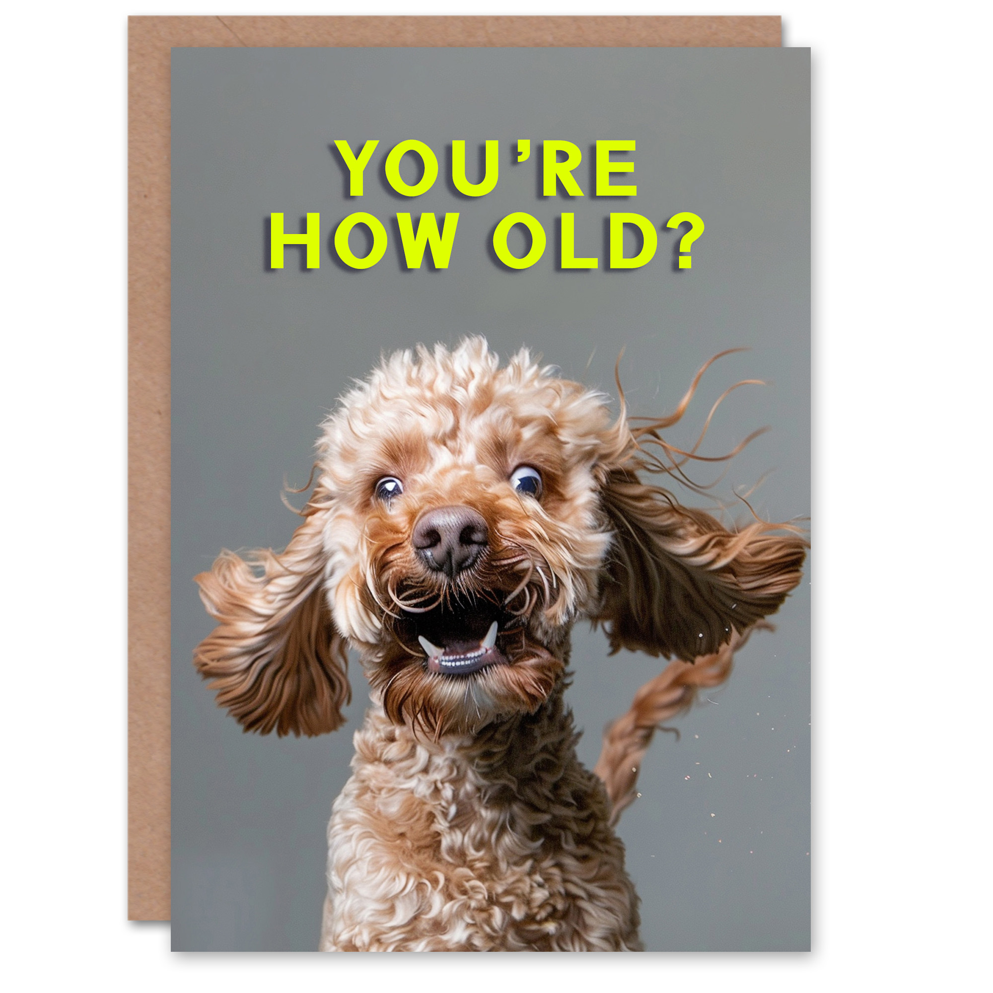 Artery8 Birthday Card Shocked Cockapoo How Old Joke Cockapoo For Him ...
