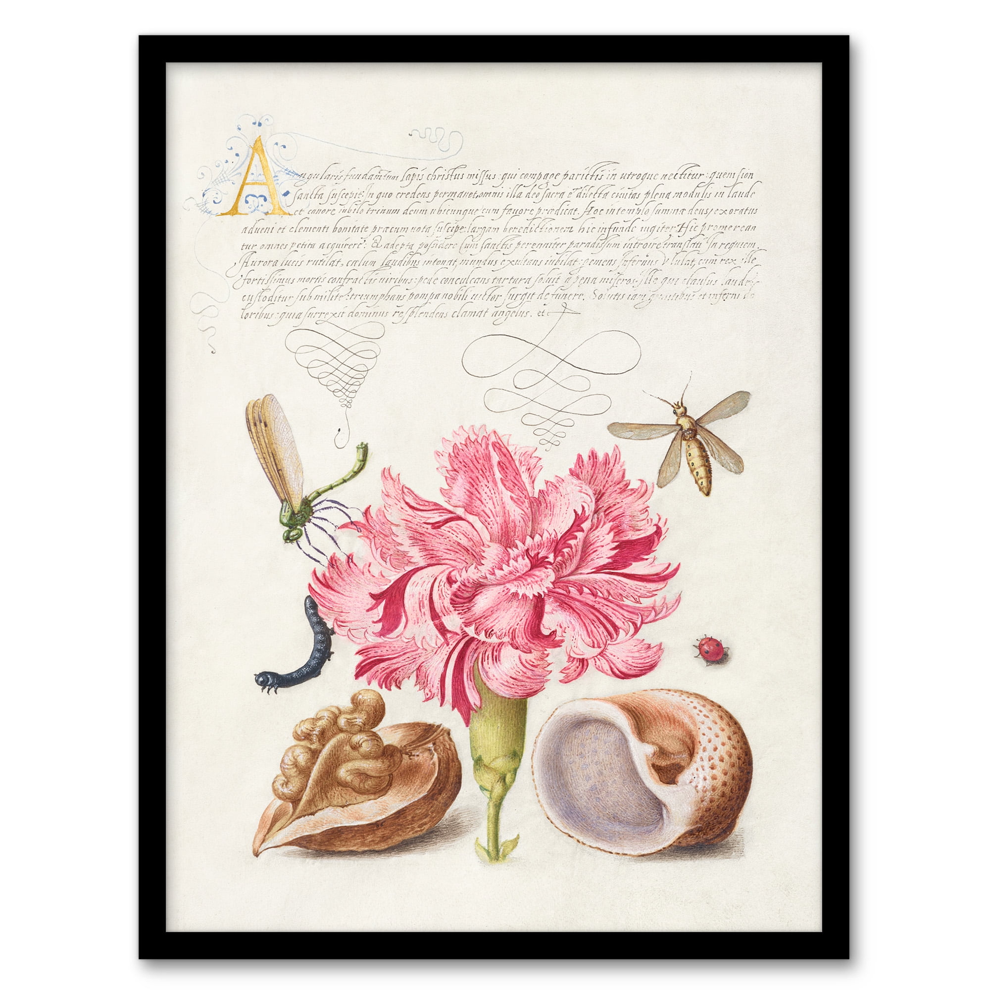 Artery8 Model Book of Calligraphy Carnation Walnut and Mollusk Framed ...