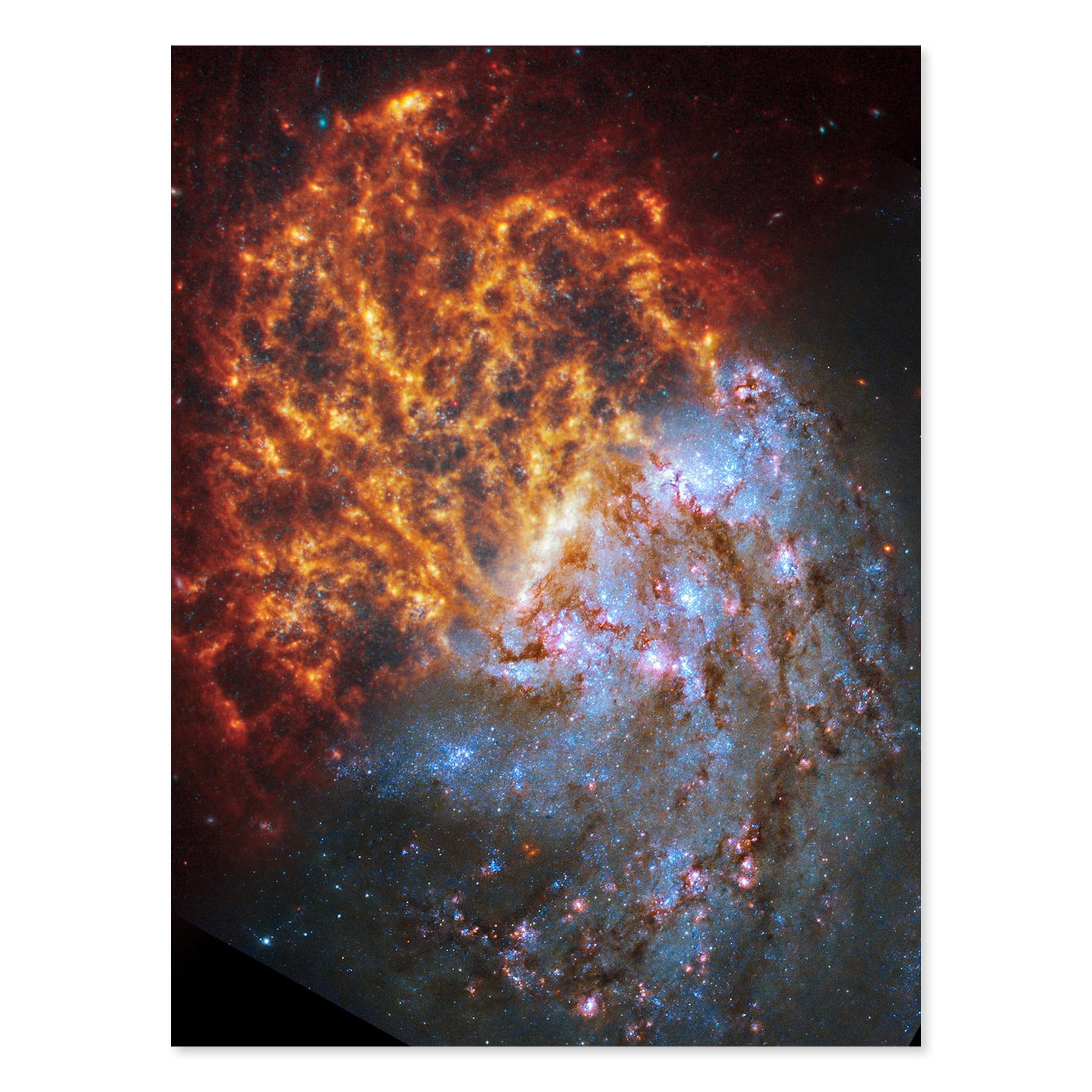 Artery8 NASA Hubble James Webb Telescope View of Spiral Galaxy NGC 1087 ...