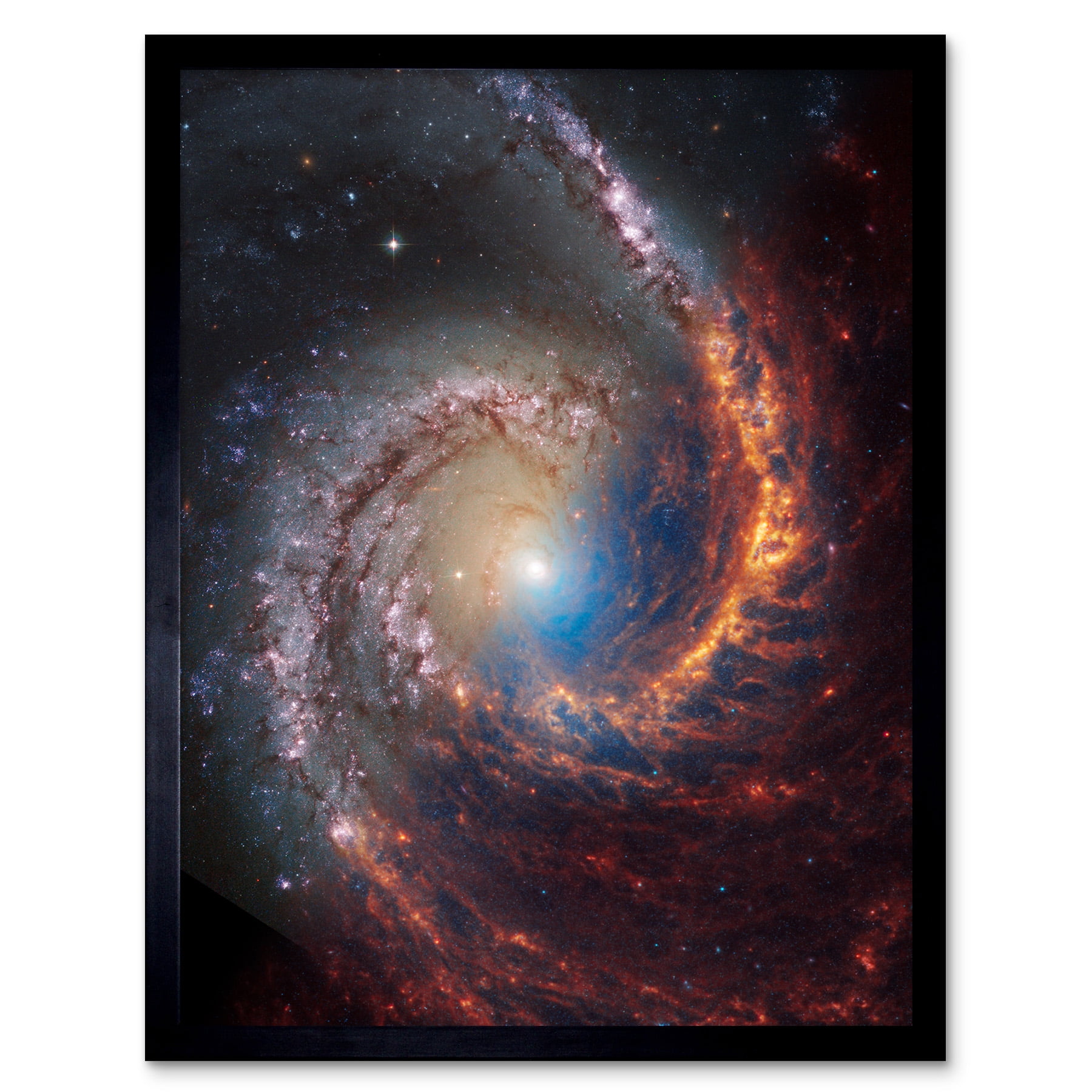 Artery8 NASA Hubble James Webb Telescope View of Spiral Galaxy NGC 1566 ...