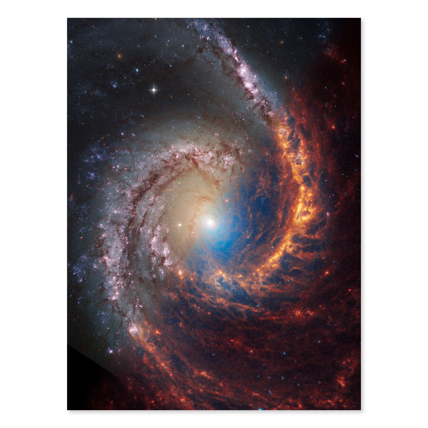 Artery8 NASA Hubble James Webb Telescope View of Spiral Galaxy NGC 1566 ...