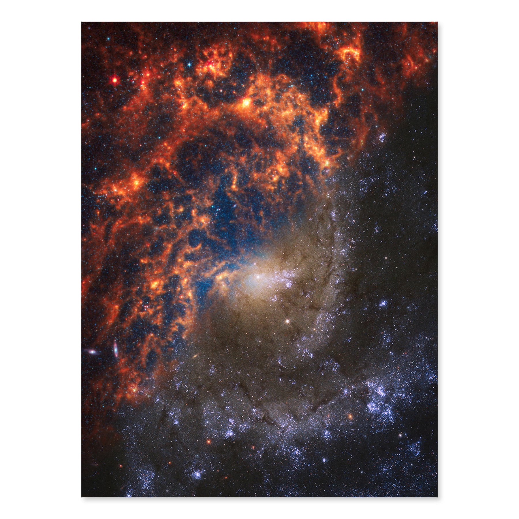Artery8 NASA Hubble James Webb Telescope View of Spiral Galaxy NGC 2835 ...