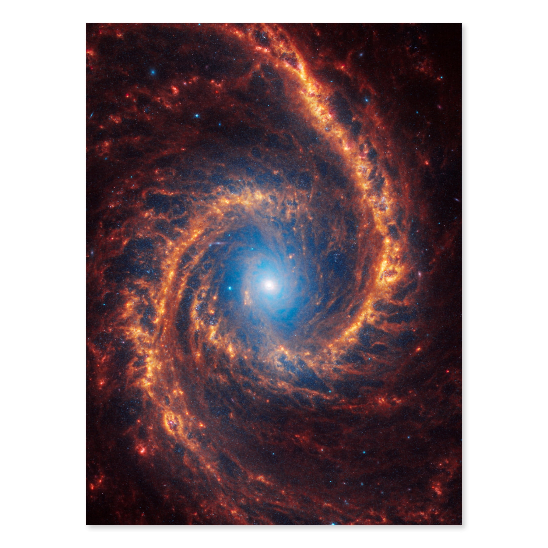 Artery8 NASA James Webb Telescope View of Spiral Galaxy NGC 1566 Living ...