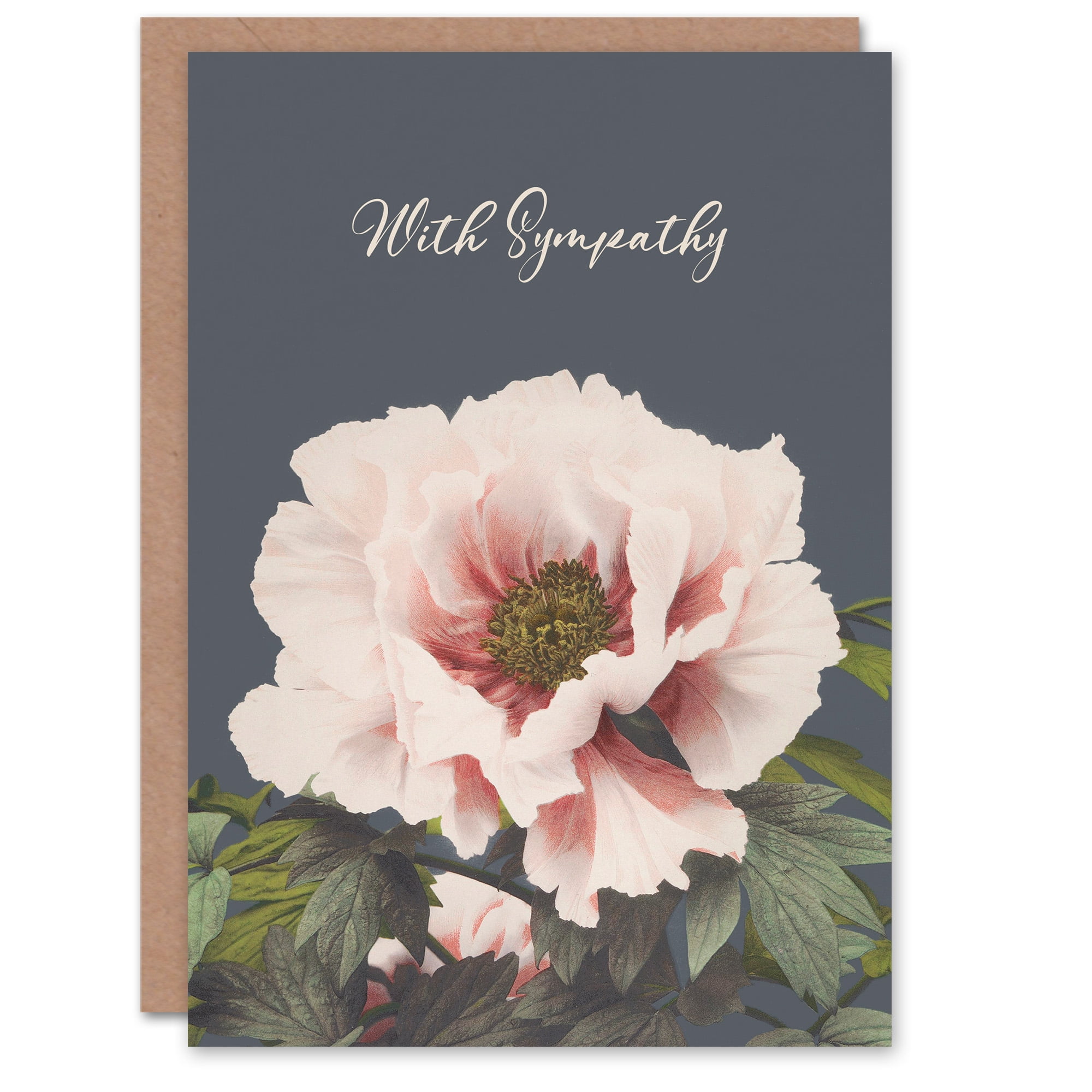 Artery8 Ogawa Kazumasa Sympathy Card Peony Flower Vintage Japanese ...