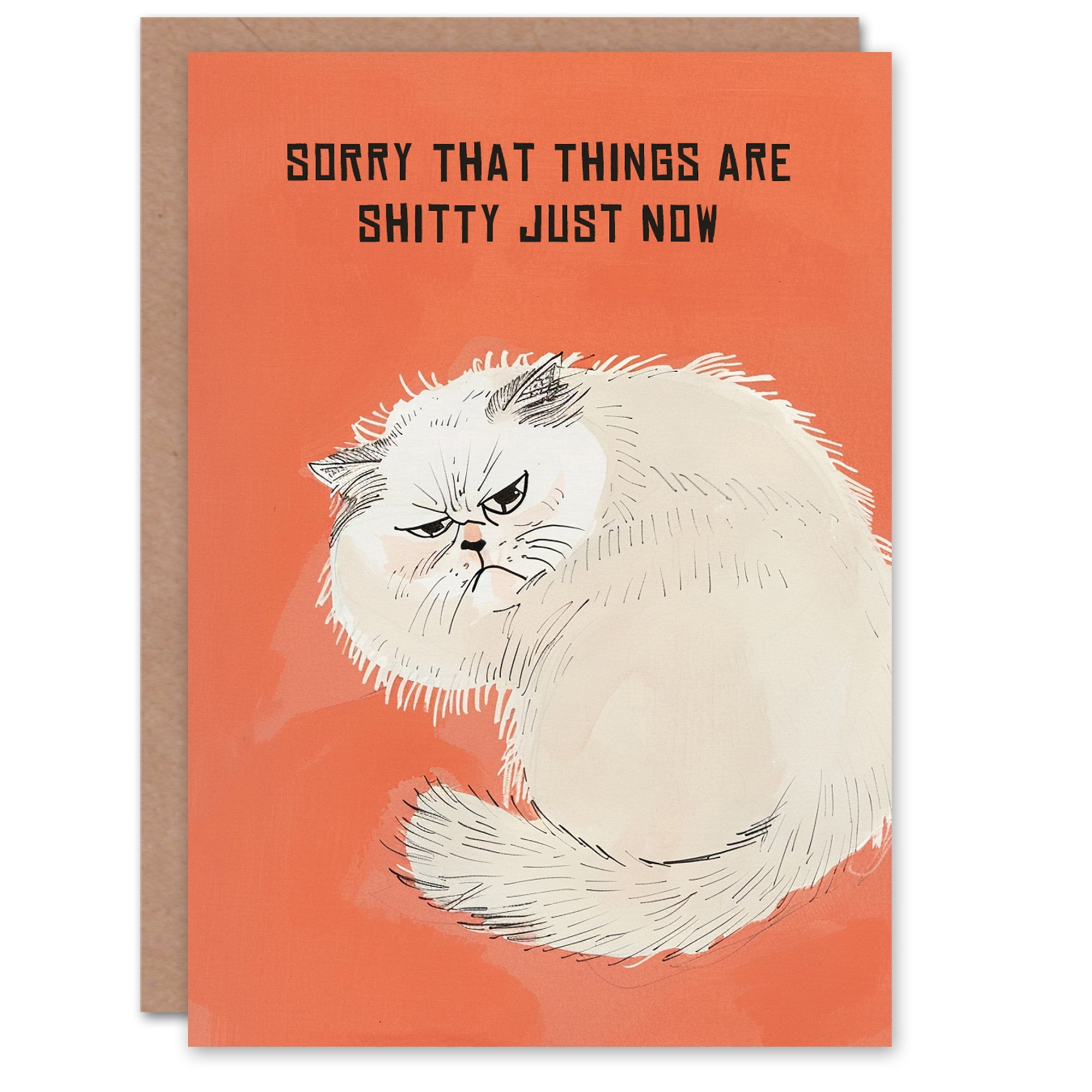 Artery8 Sorry Things Are Sh*tty Grumpy Fluffy Cat Lover Blank For Him ...