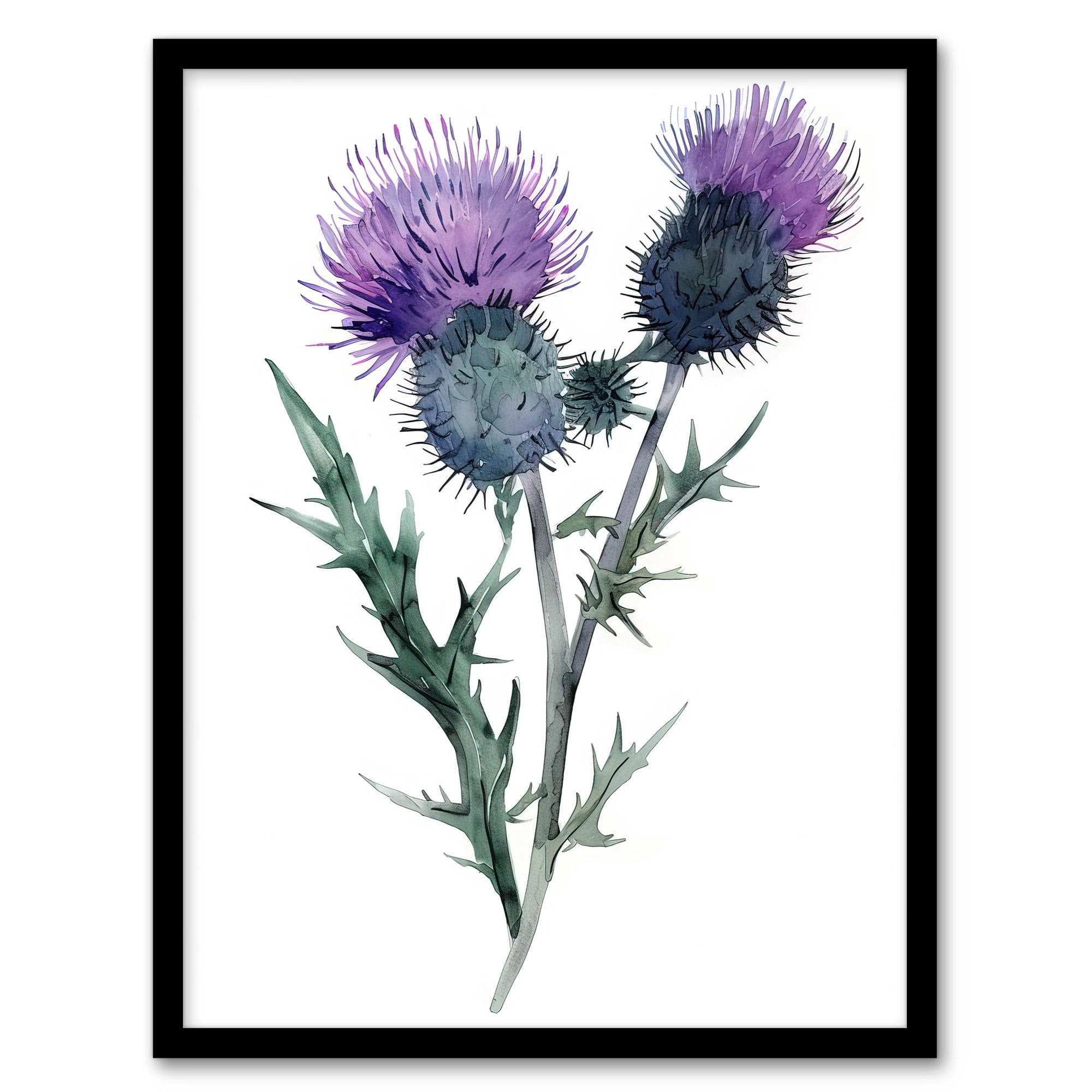 Artery8 Two Scottish Thistle Flower Blooms Watercolour Living Room Art ...