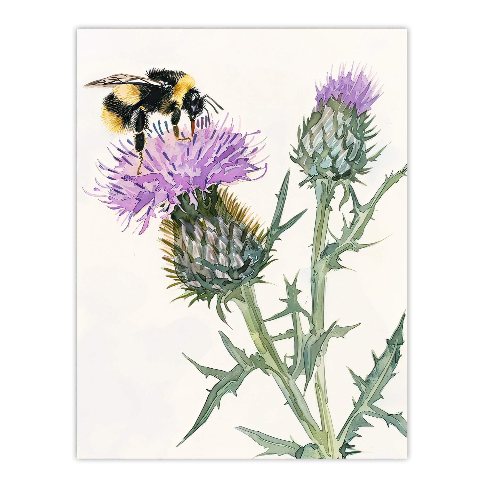Artery8 Watercolour Bumblebee on Scottish Thistle Flower Living Room ...