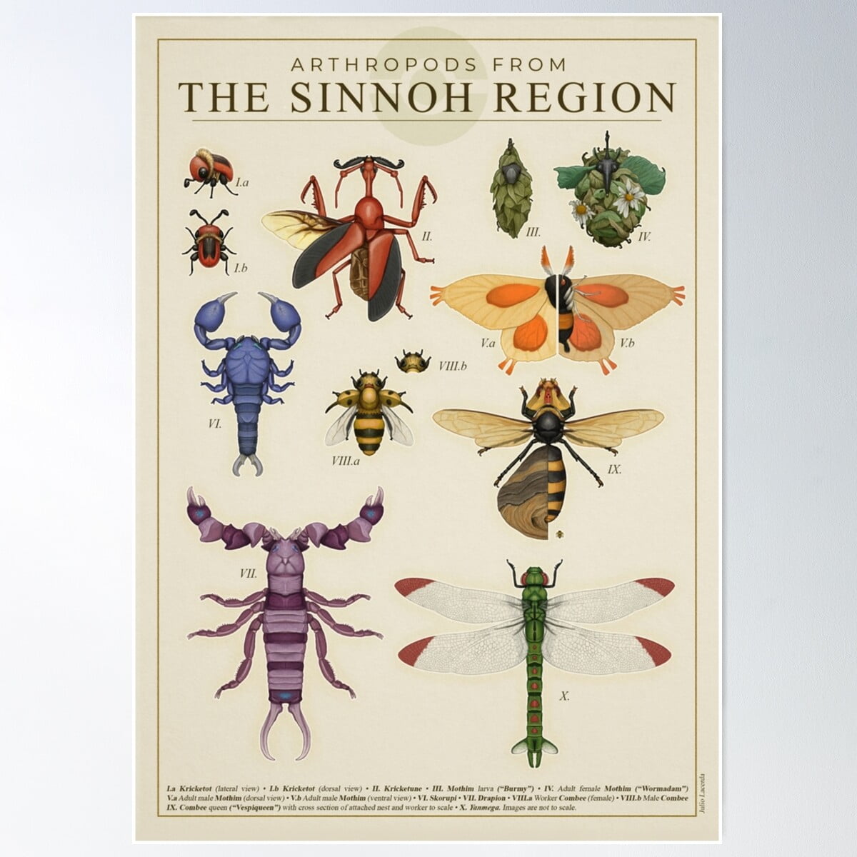 Arthropods From Sinnoh Poster Wall Art, Modern Wall Decor For Living ...