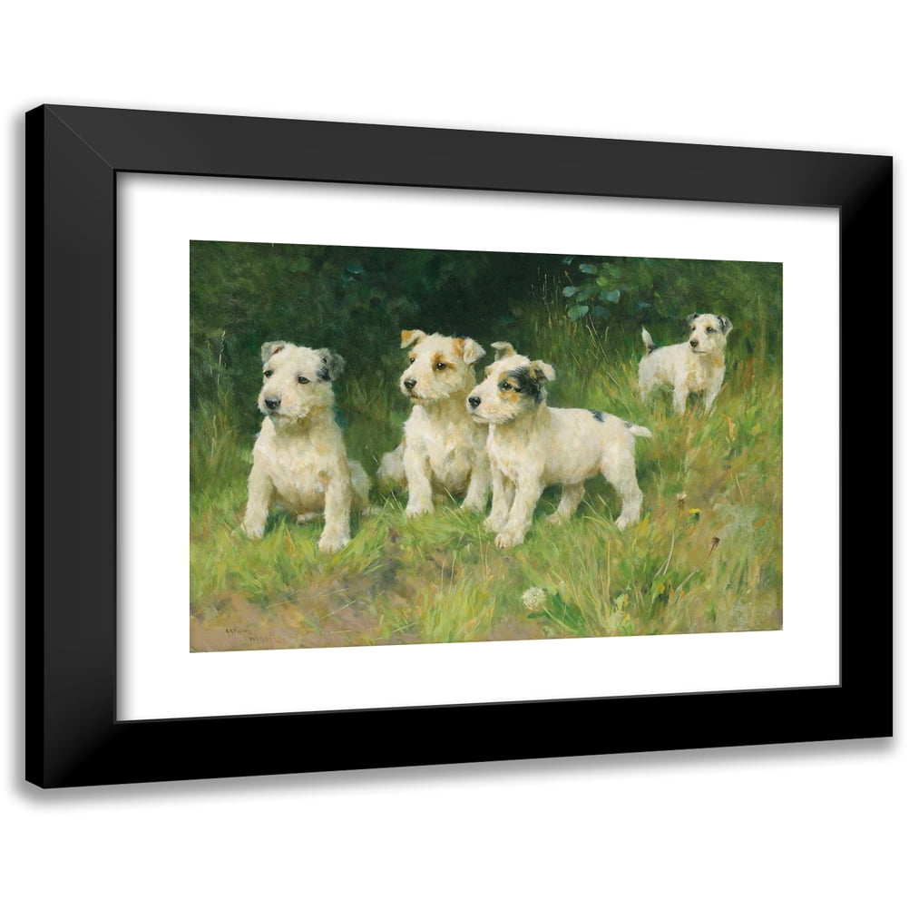 Arthur Wardle 18x14 Black Modern Framed Museum Art Print Titled - The ...