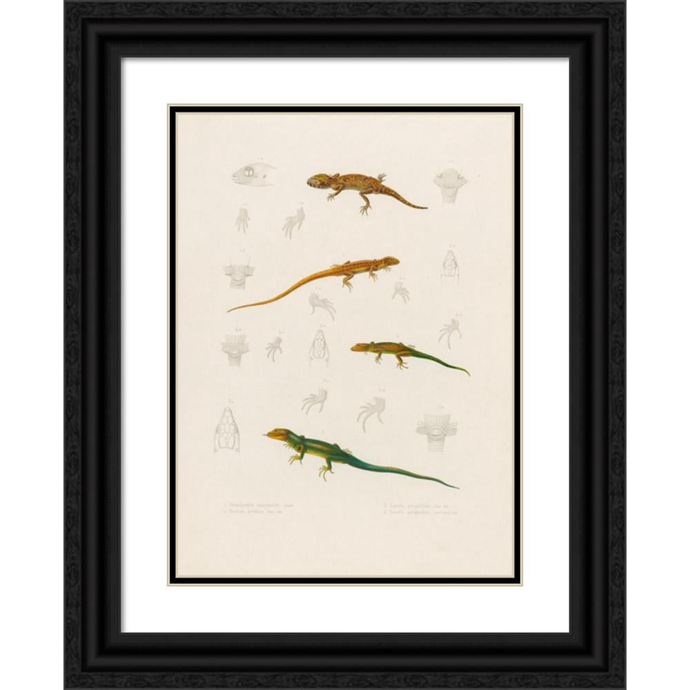 Arthus Bertrand 18x24 Black Ornate Framed Double Matted Museum Art ...