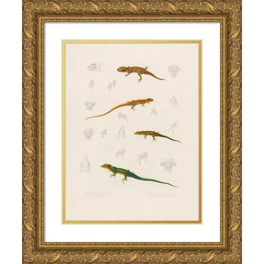 Arthus Bertrand 18x24 Gold Ornate Framed and Double Matted Museum Art ...