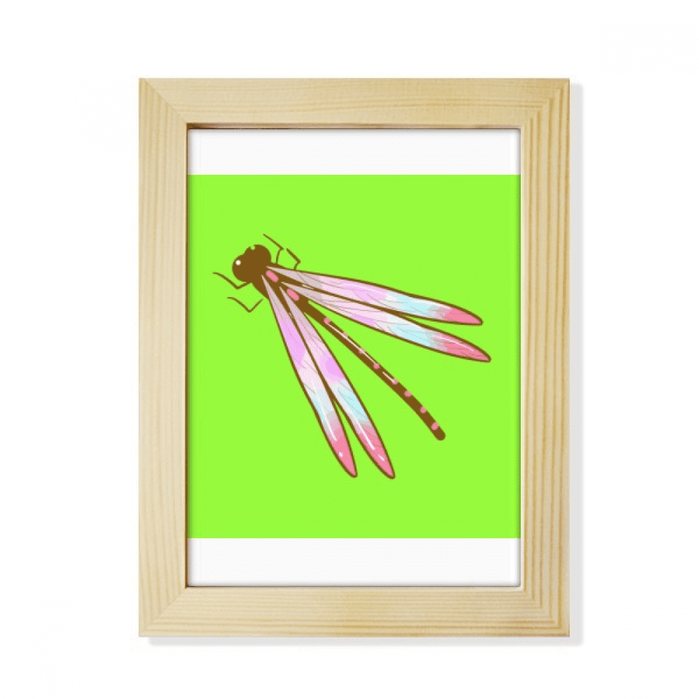 Articulated Pod Dragonfly Odonata Desktop Adorn Photo Frame Display Art ...