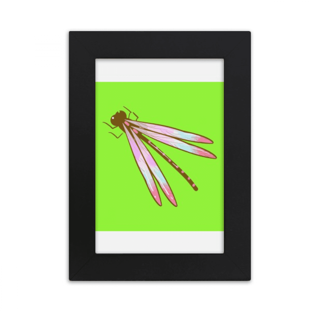 Articulated Pod Dragonfly Odonata Desktop Photo Frame Picture Display ...