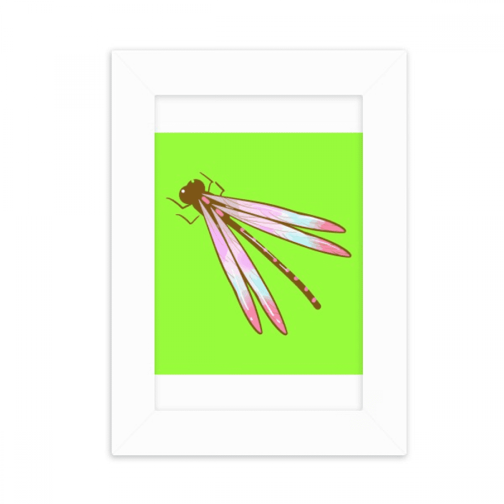 Articulated Pod Dragonfly Odonata Desktop Photo Frame Picture Display ...