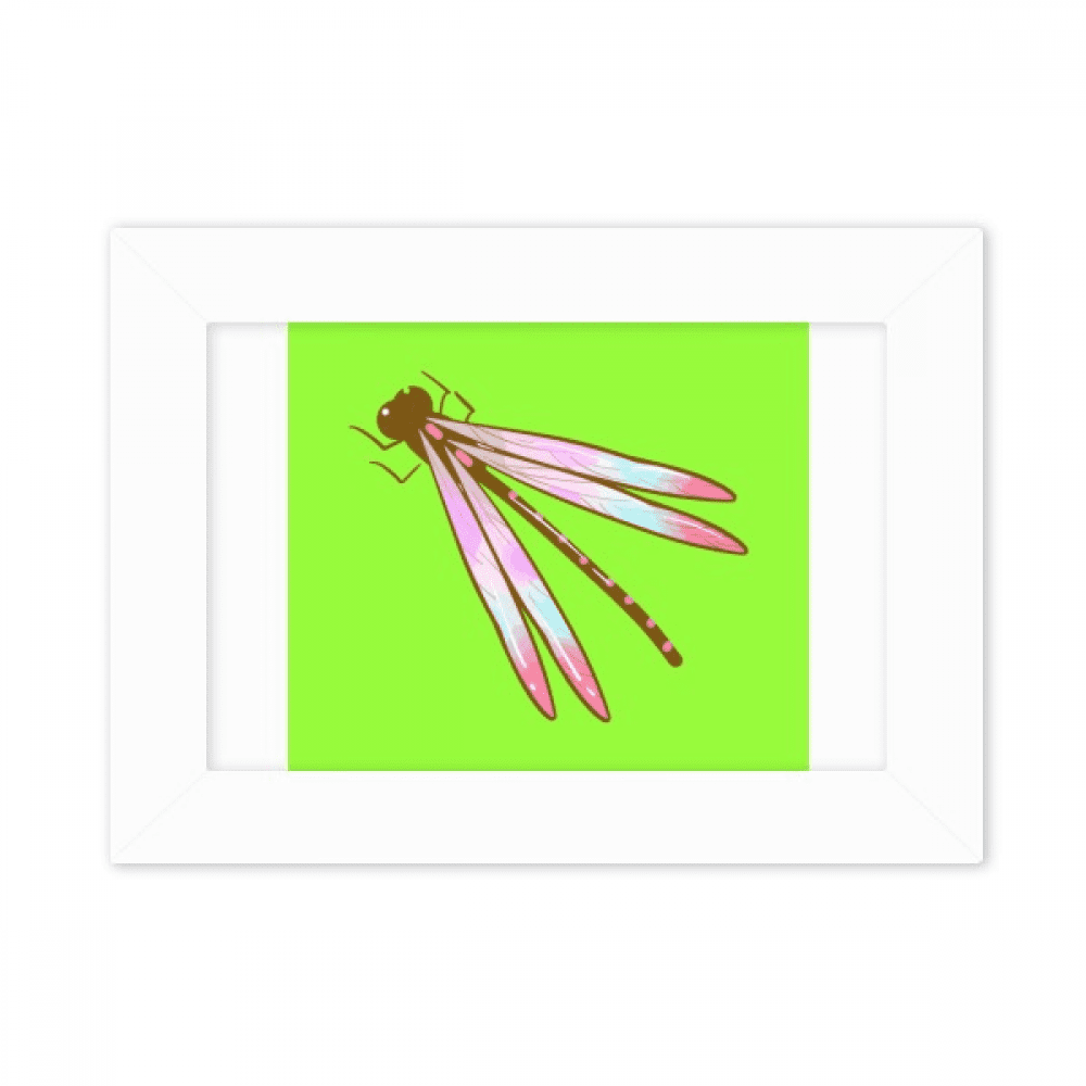 Articulated Pod Dragonfly Odonata Photo Mount Frame Picture Art ...