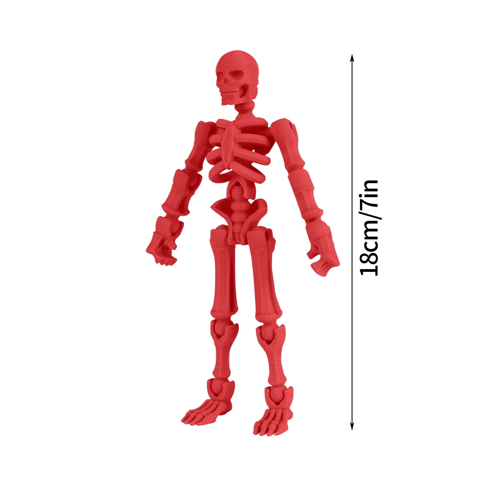 Articulating Skeleton Sculpture 3D Printed White Plastic Ornament ...