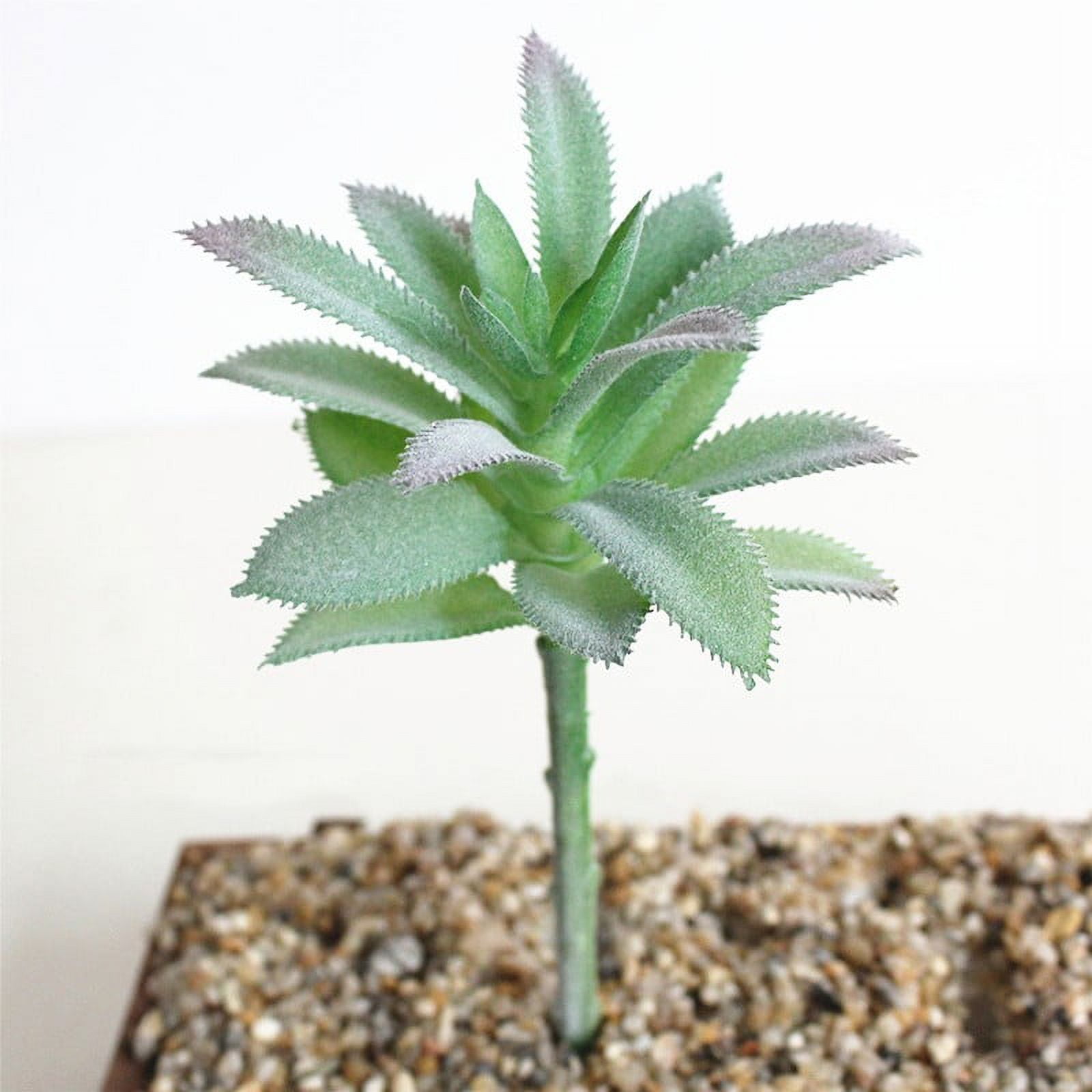 Artifical Plastic Succulent Plant Echeveria Flower Home Office Decor ...