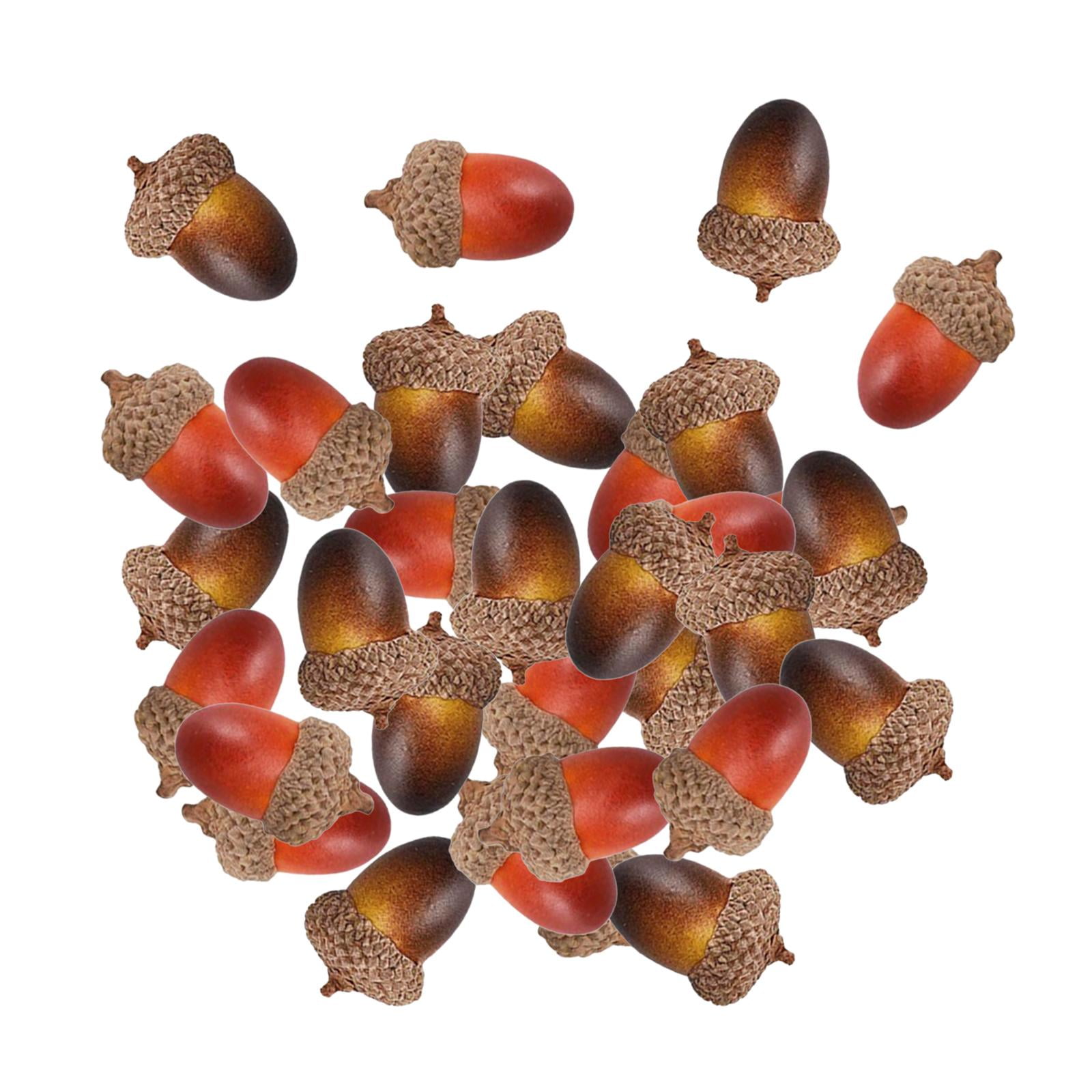 Artificial Acorns Fake Fruit Props Oak Nut Plants Model Realistic Foam ...