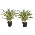 Artificial Agave Outdoor, 32" Large Spiked Agave with 24 Lifelike ...