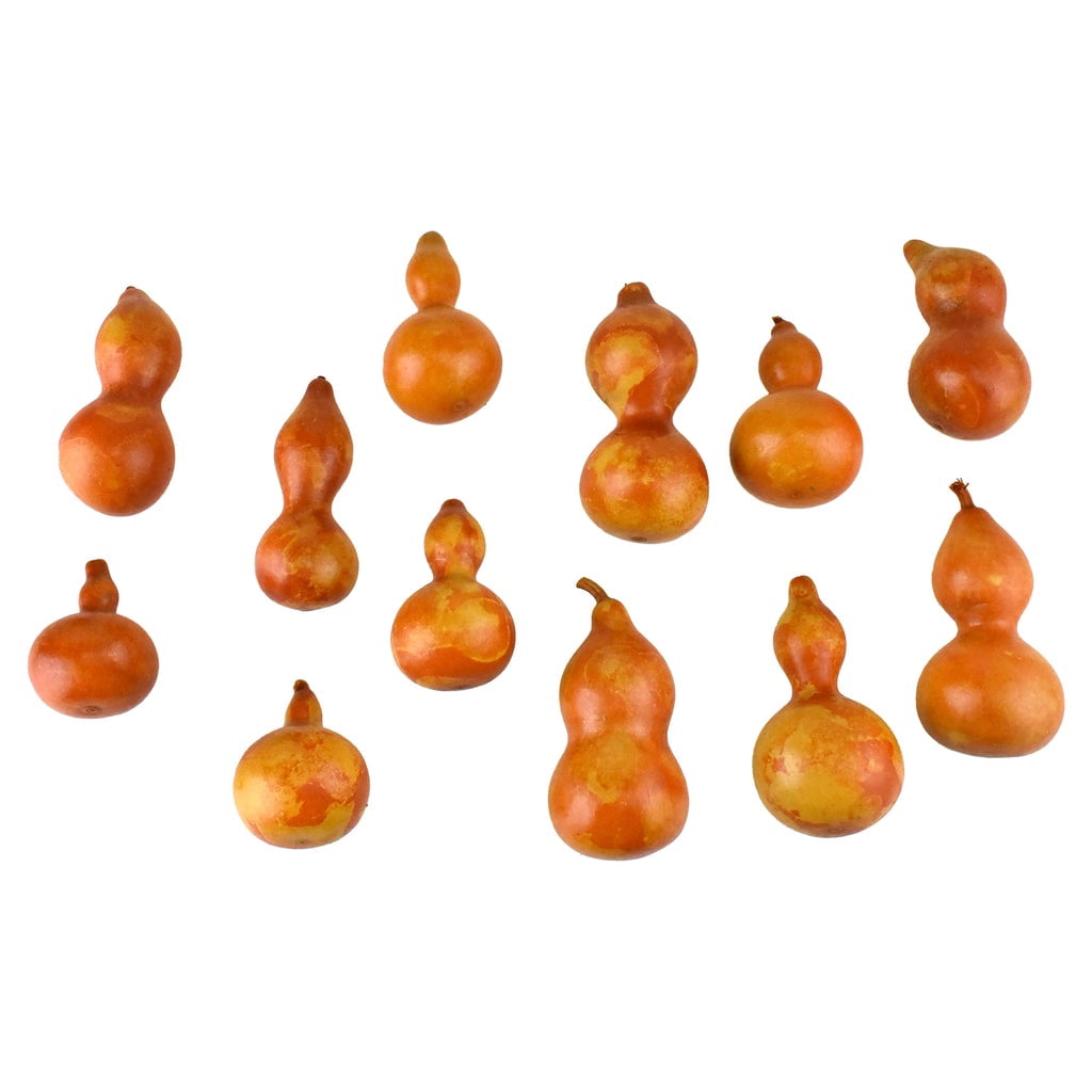 Artificial Bagged Bottle Gourd Fall Decor, Assorted Sizes, 12-Piece ...