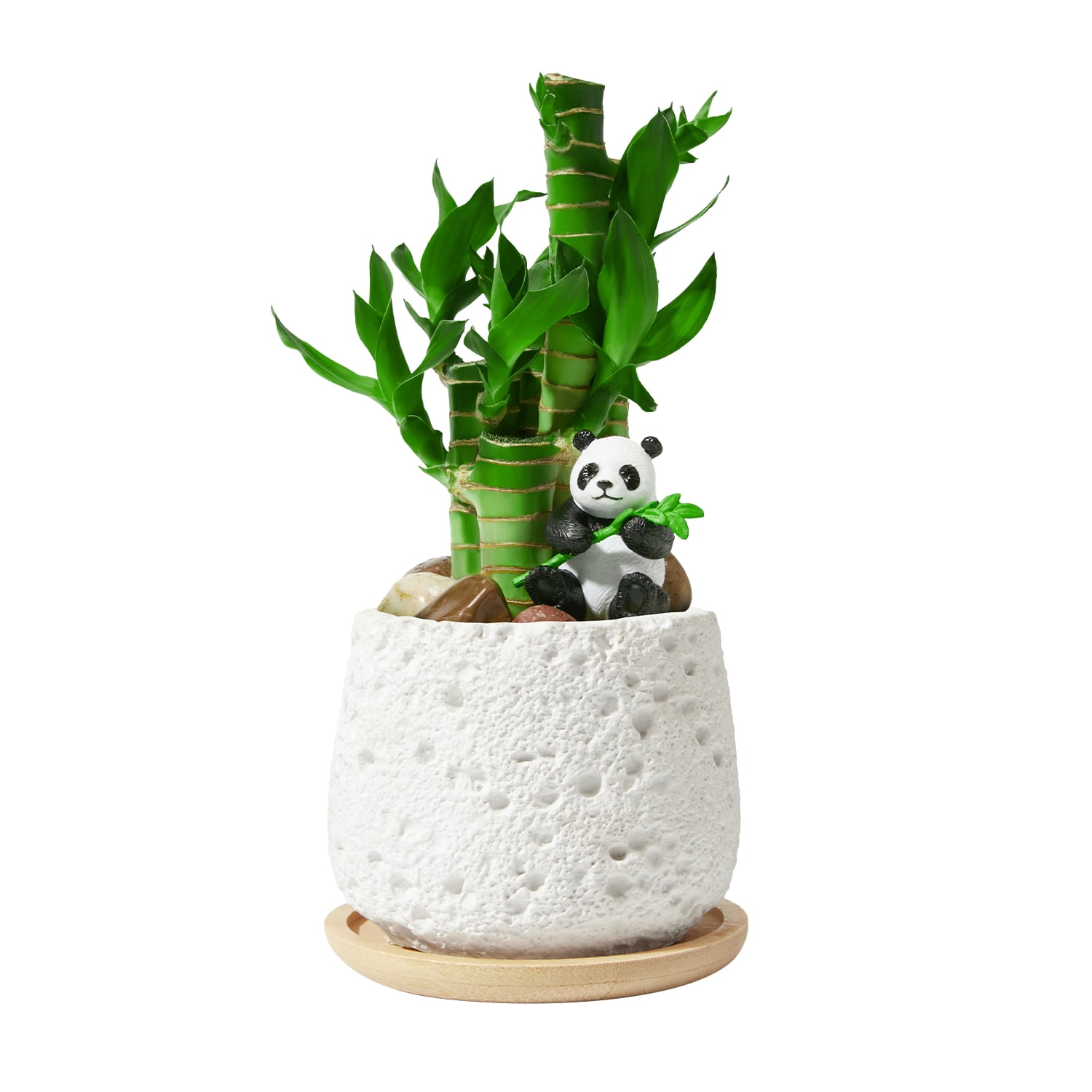 Artificial Bamboo Desk Decor – Lucky Bamboo Faux Arrangement with ...