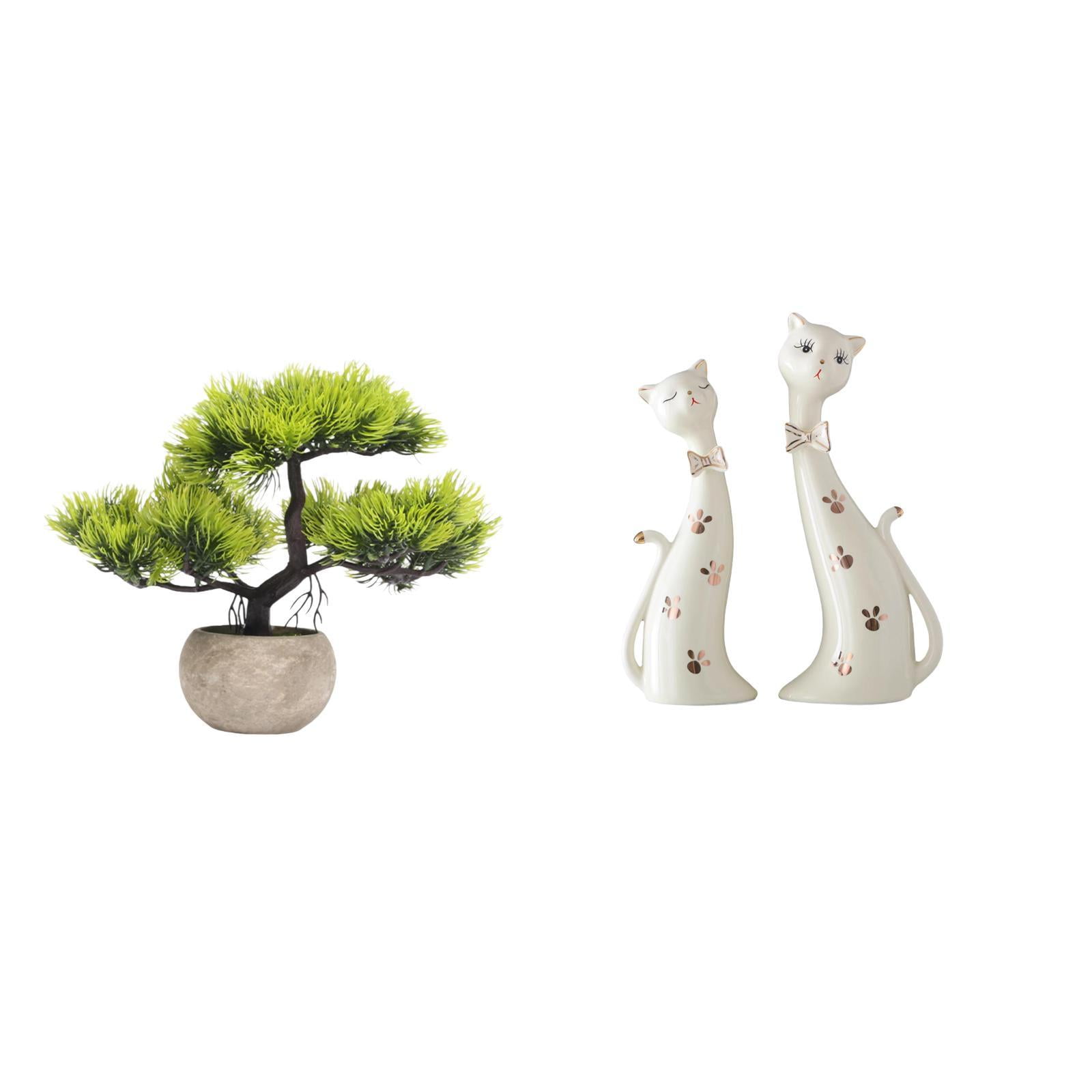 Kitty Bonsai