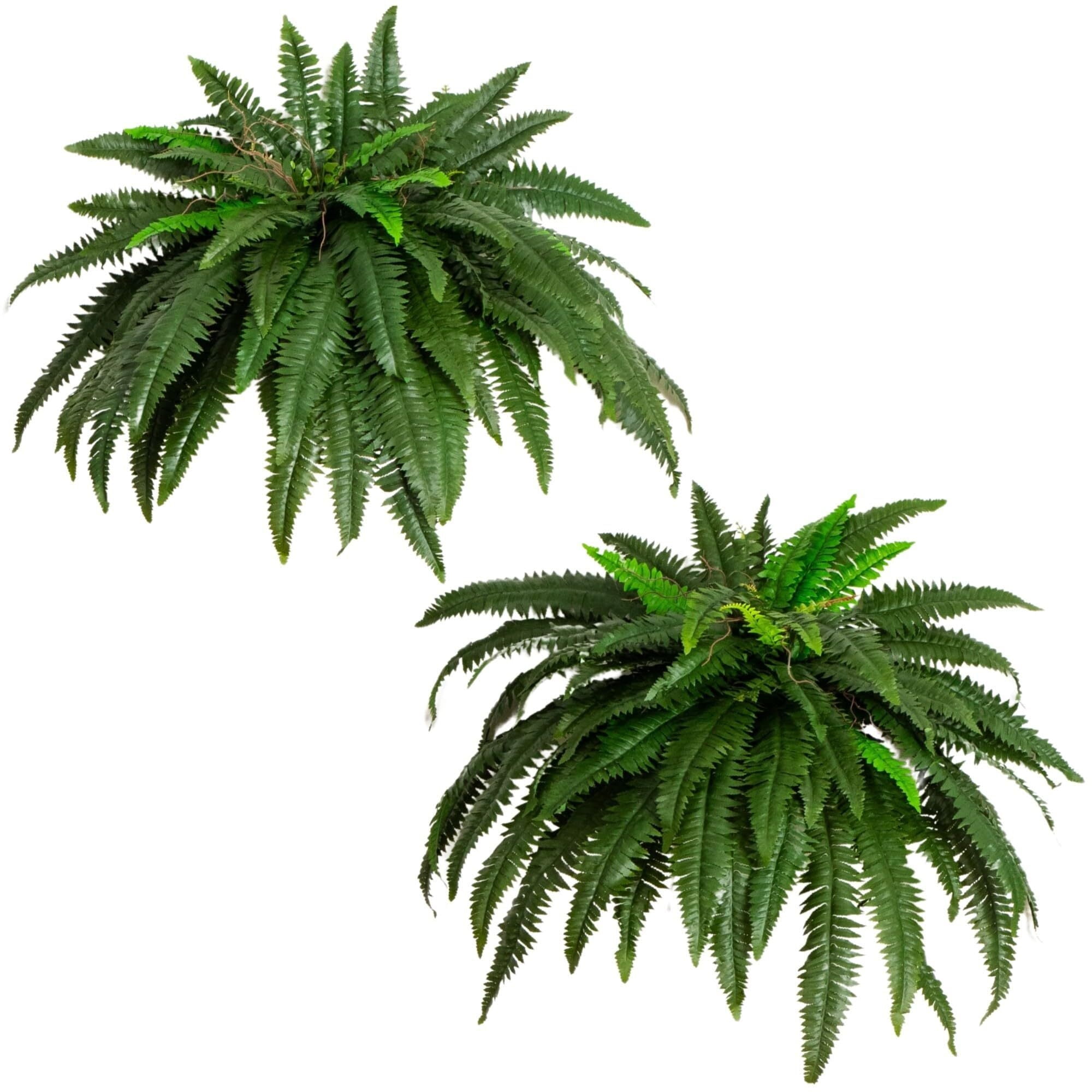 Artificial Boston Fern, Large Fake Plant Wall Decoration, 88 Leaves ...