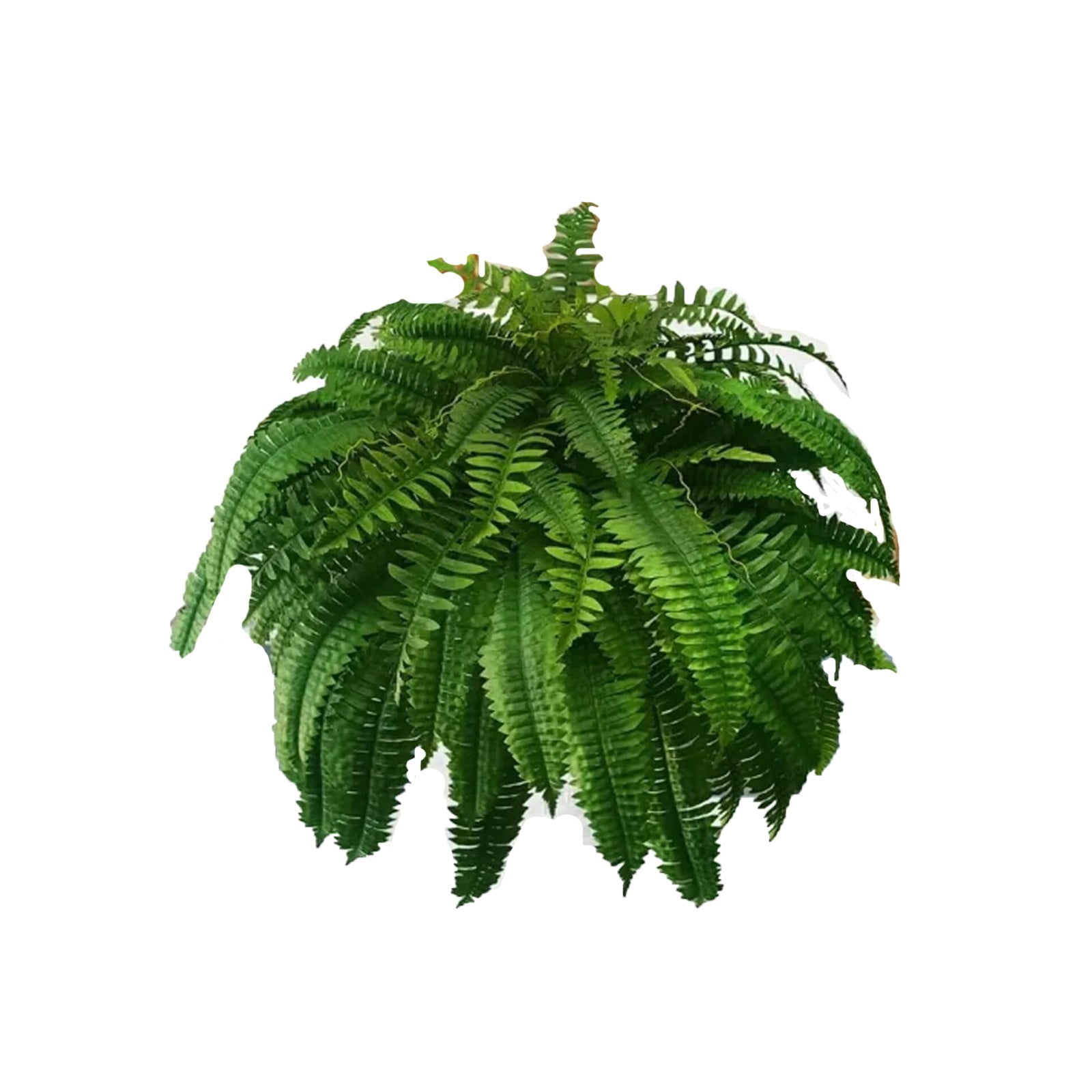 Artificial Boston Fern Plant Greenery for Home Decor, Realistic Faux ...